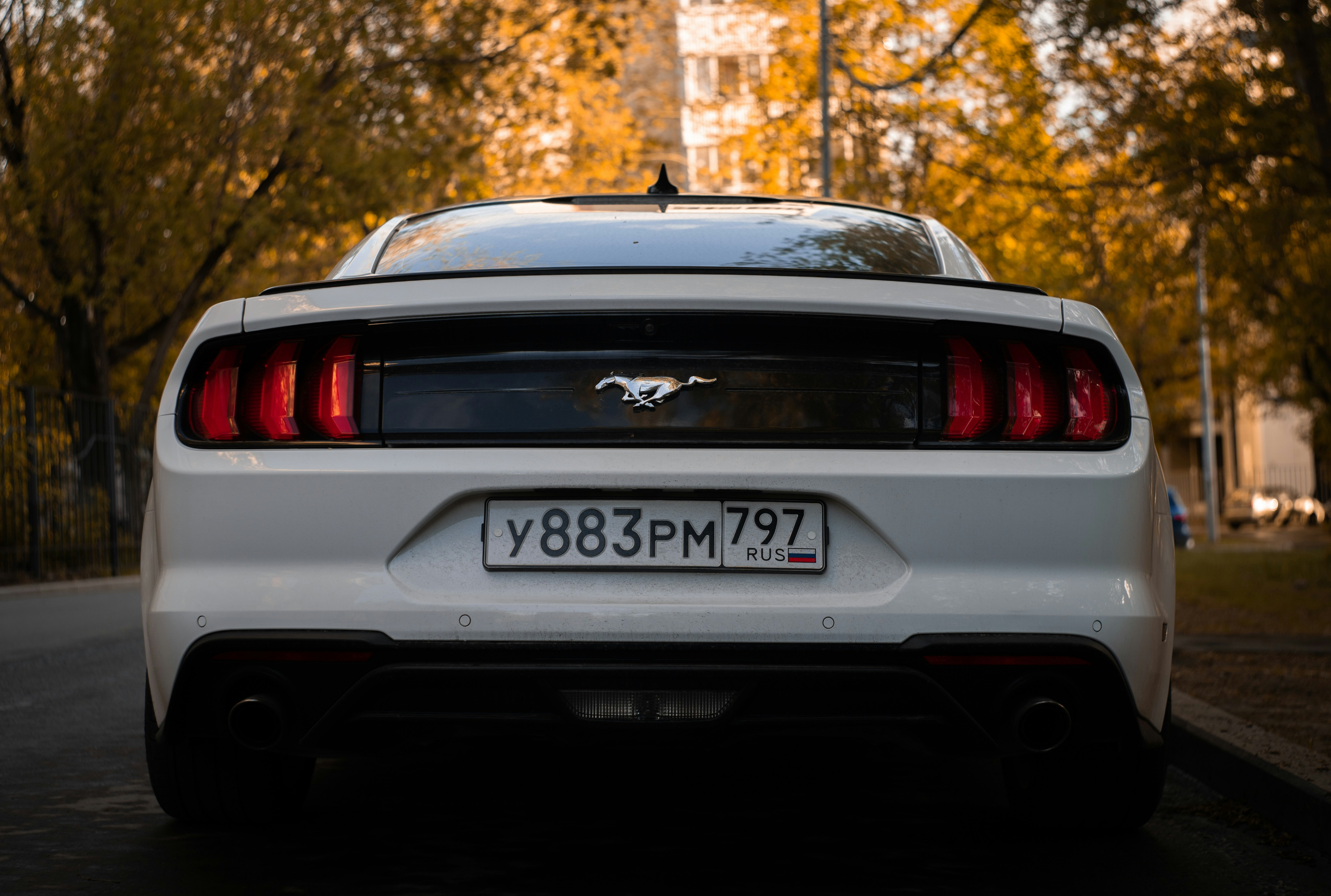 White ford mustang captured from the rear. photo – Free Wallpaper Image ...