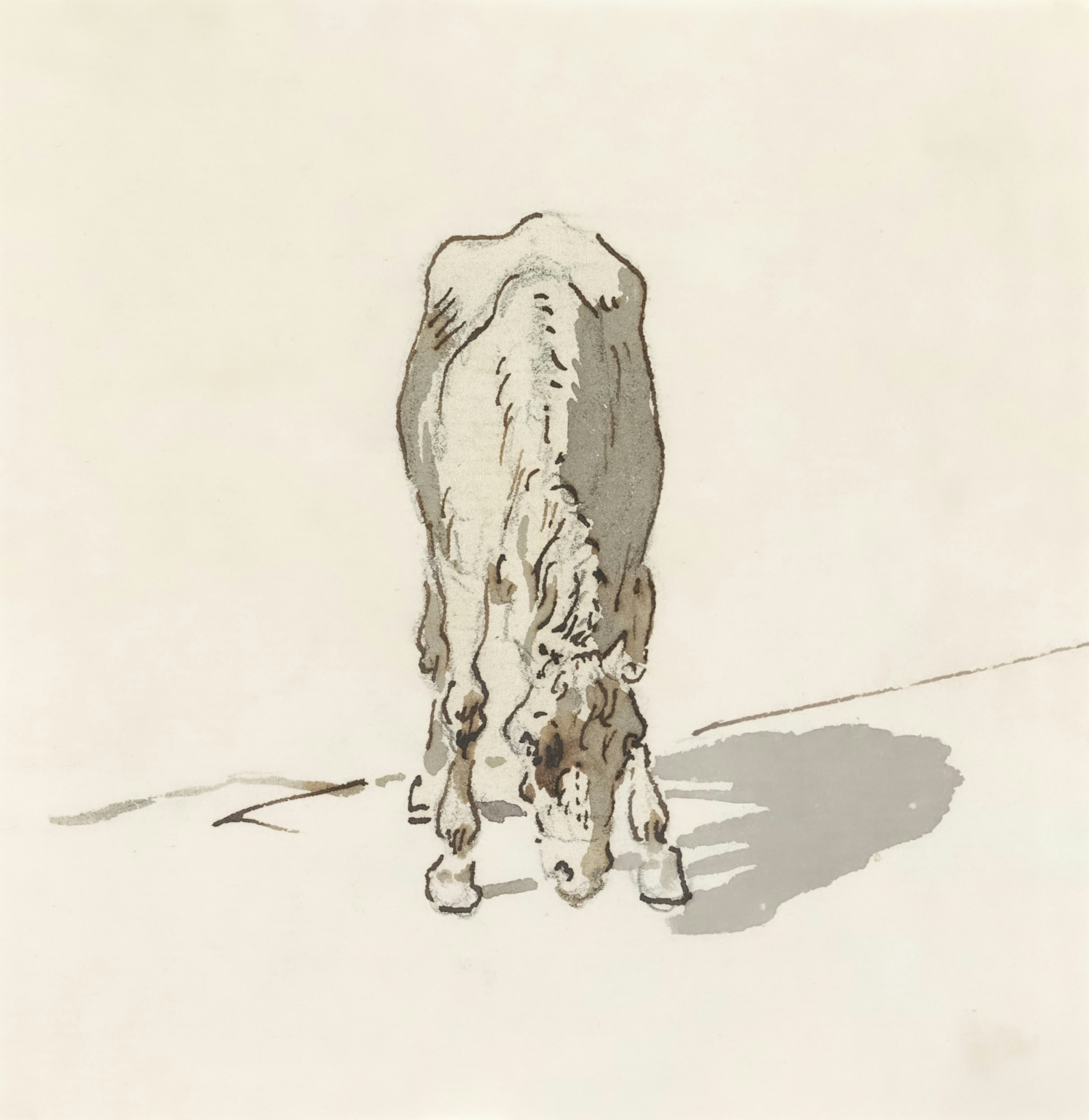 A minimalist line-drawing illustration of a horse bending its head toward the ground, casting a soft shadow on pale paper.