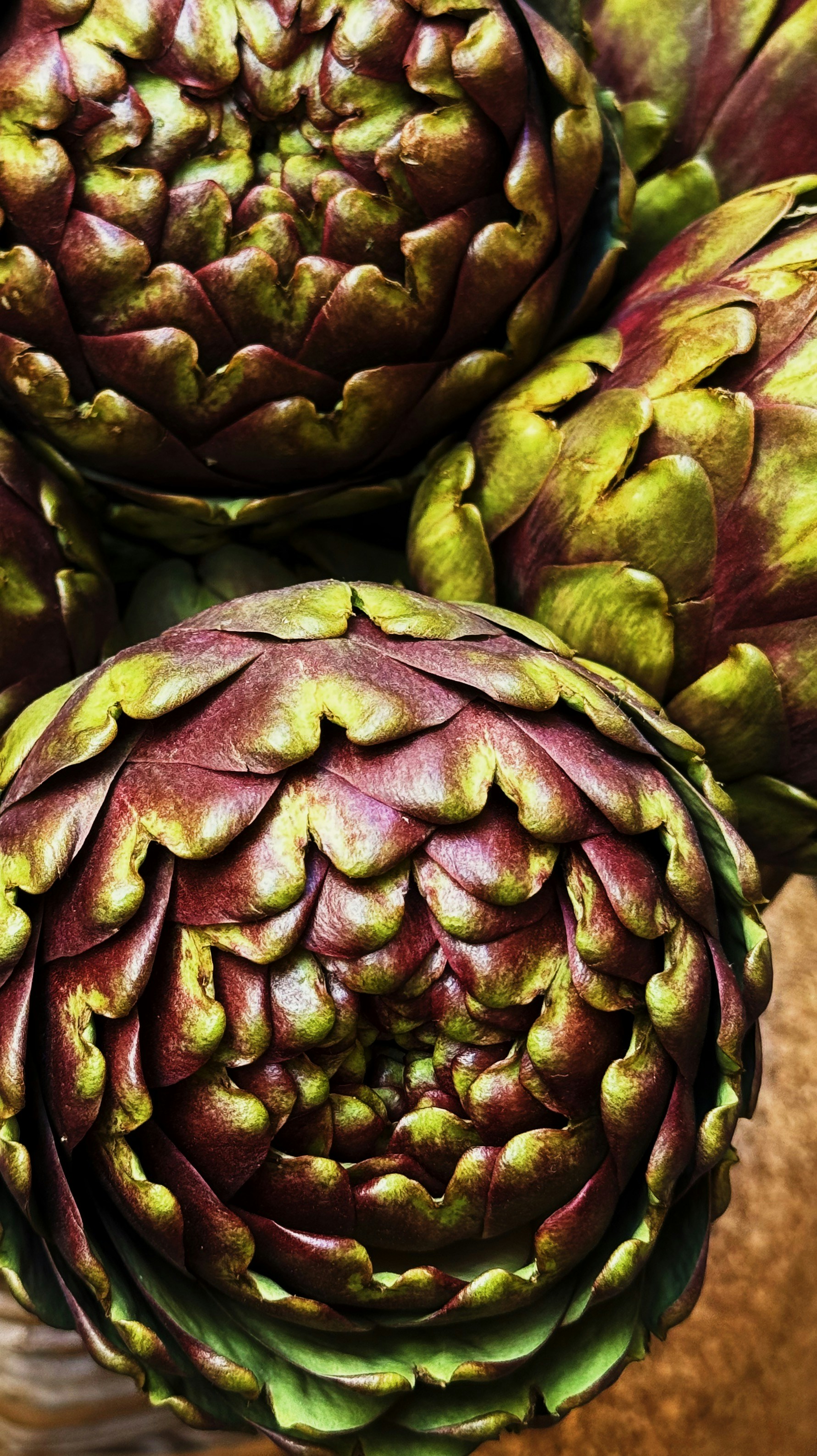 Artichoke Kaleidoscope: Close-Up of Purple-Green Globe Artichokes