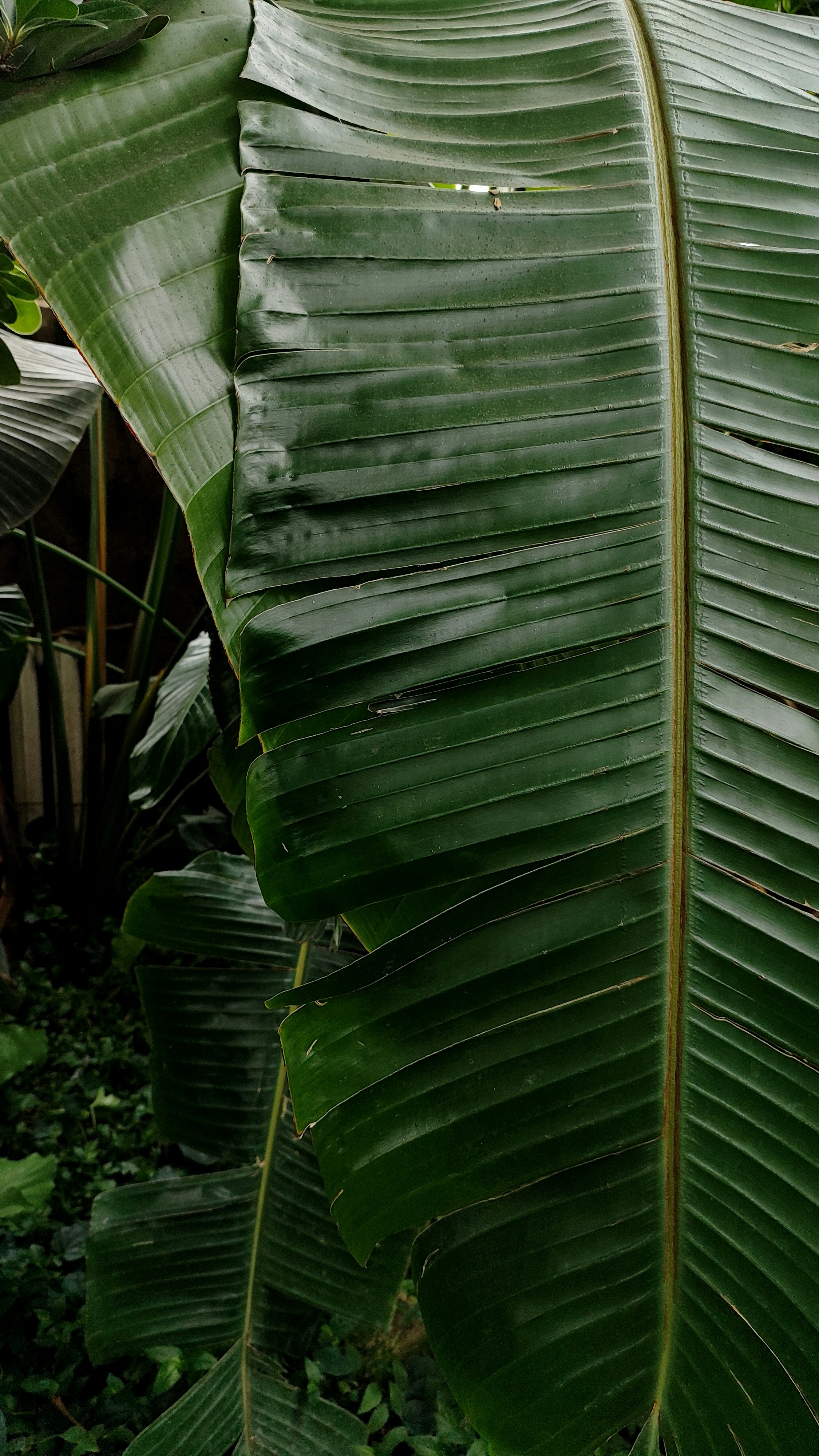 Photo by Olga Bondarenko with Xiaomi Poco X5 Pro