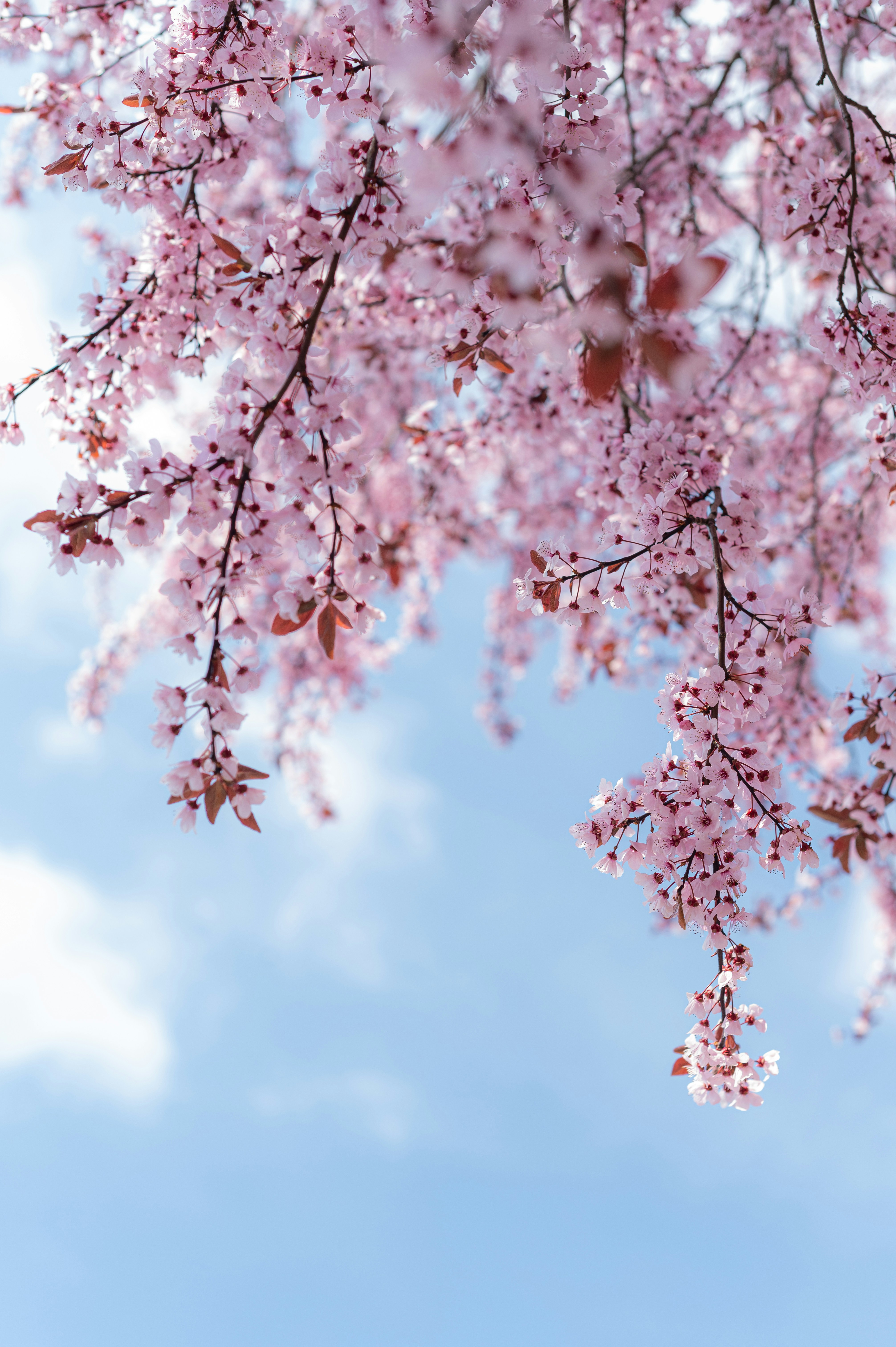 Photo by Alexandra with Nikon Z6