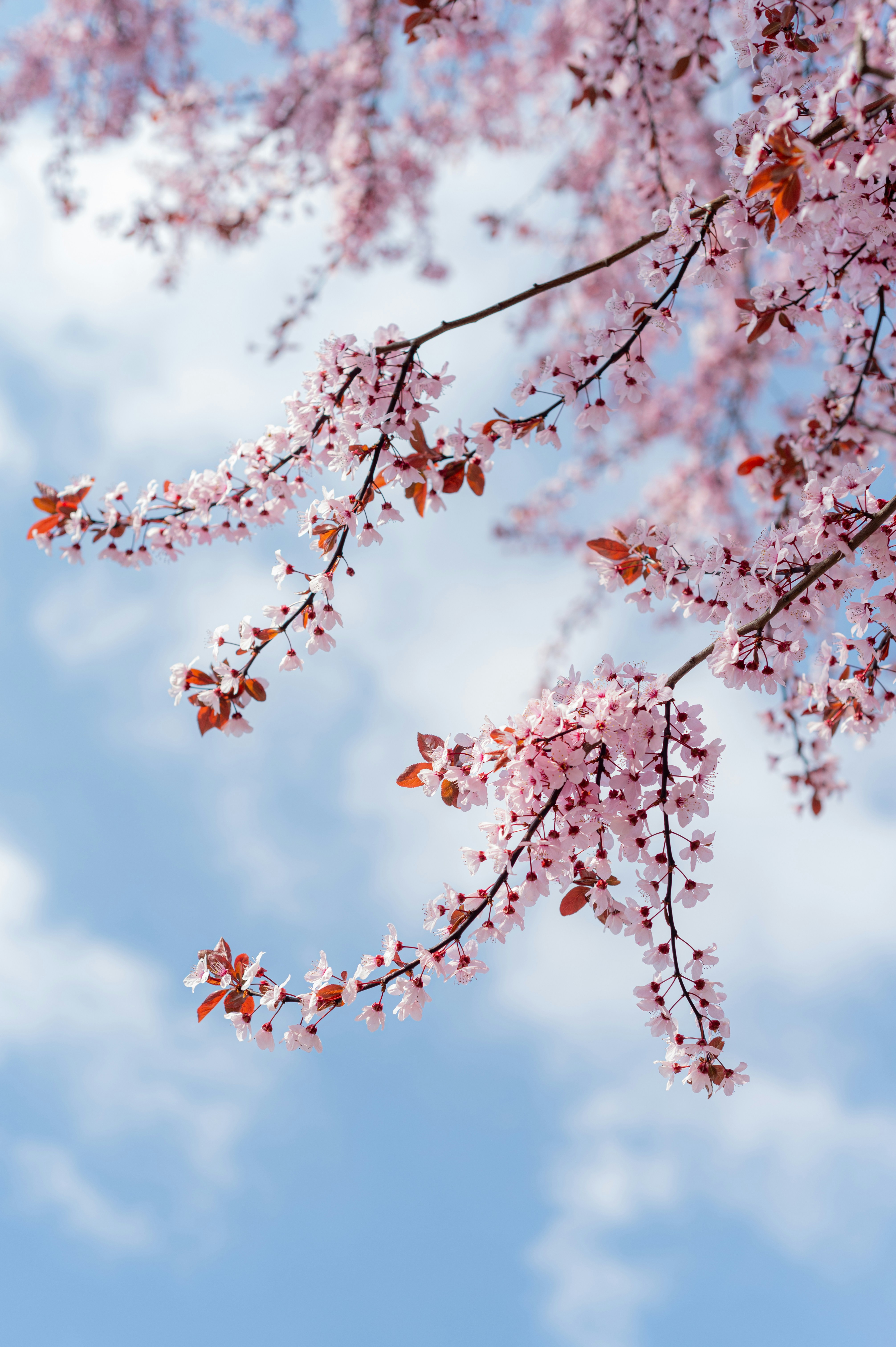 Photo by Alexandra with Nikon Z6