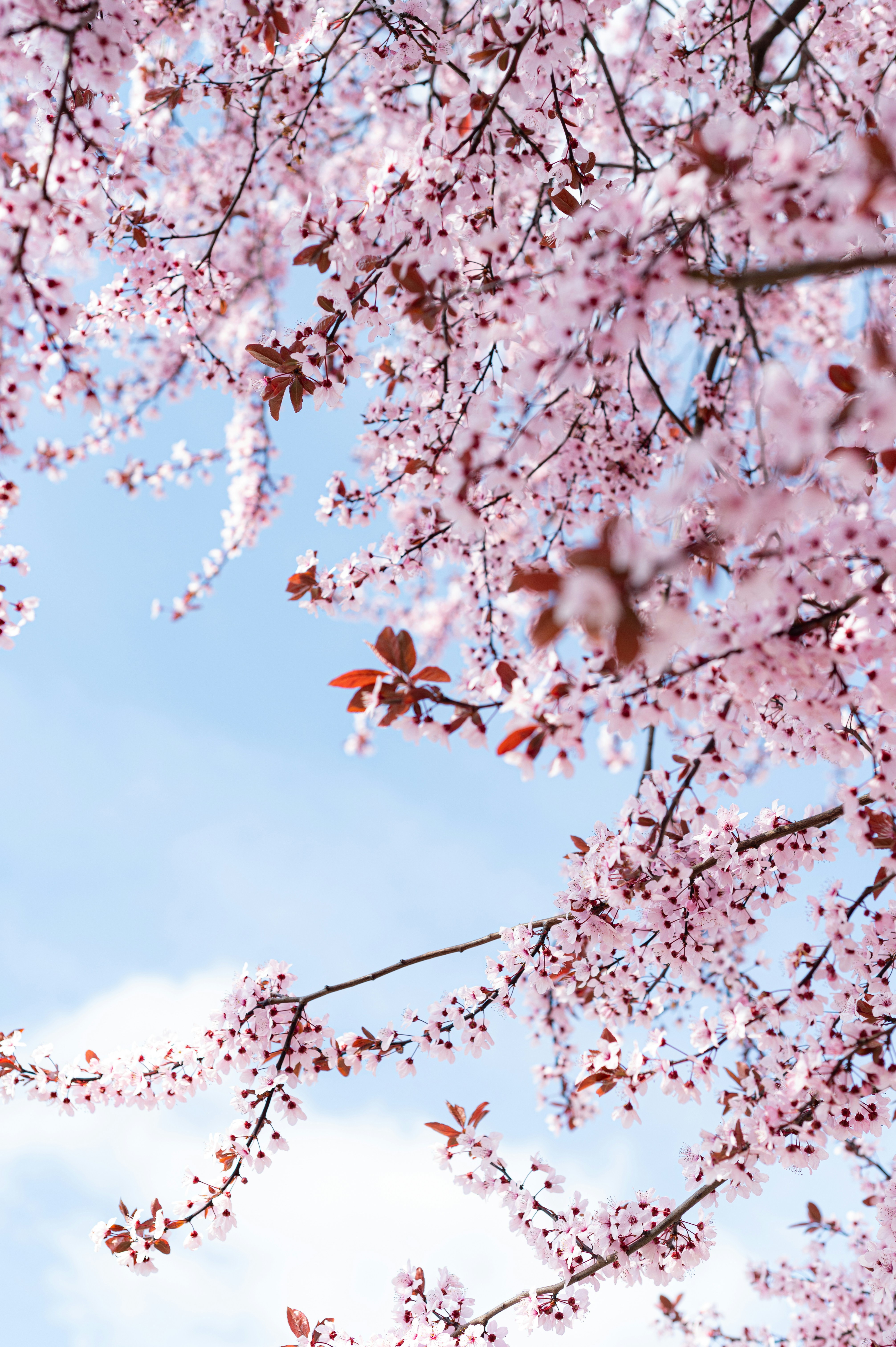 Photo by Alexandra with Nikon Z6