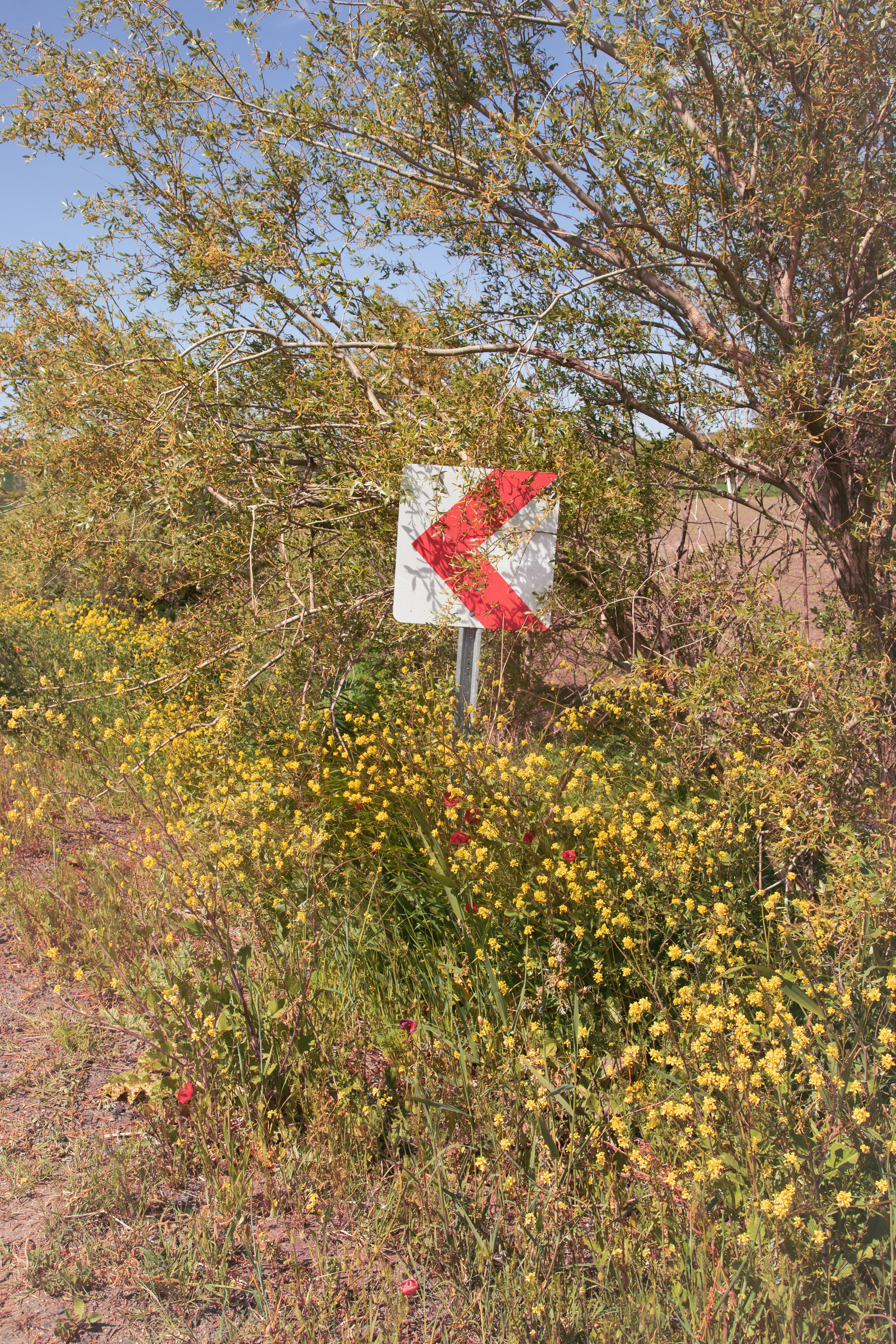 A road sign indicates a sharp turn ahead. photo – Free Image on Unsplash