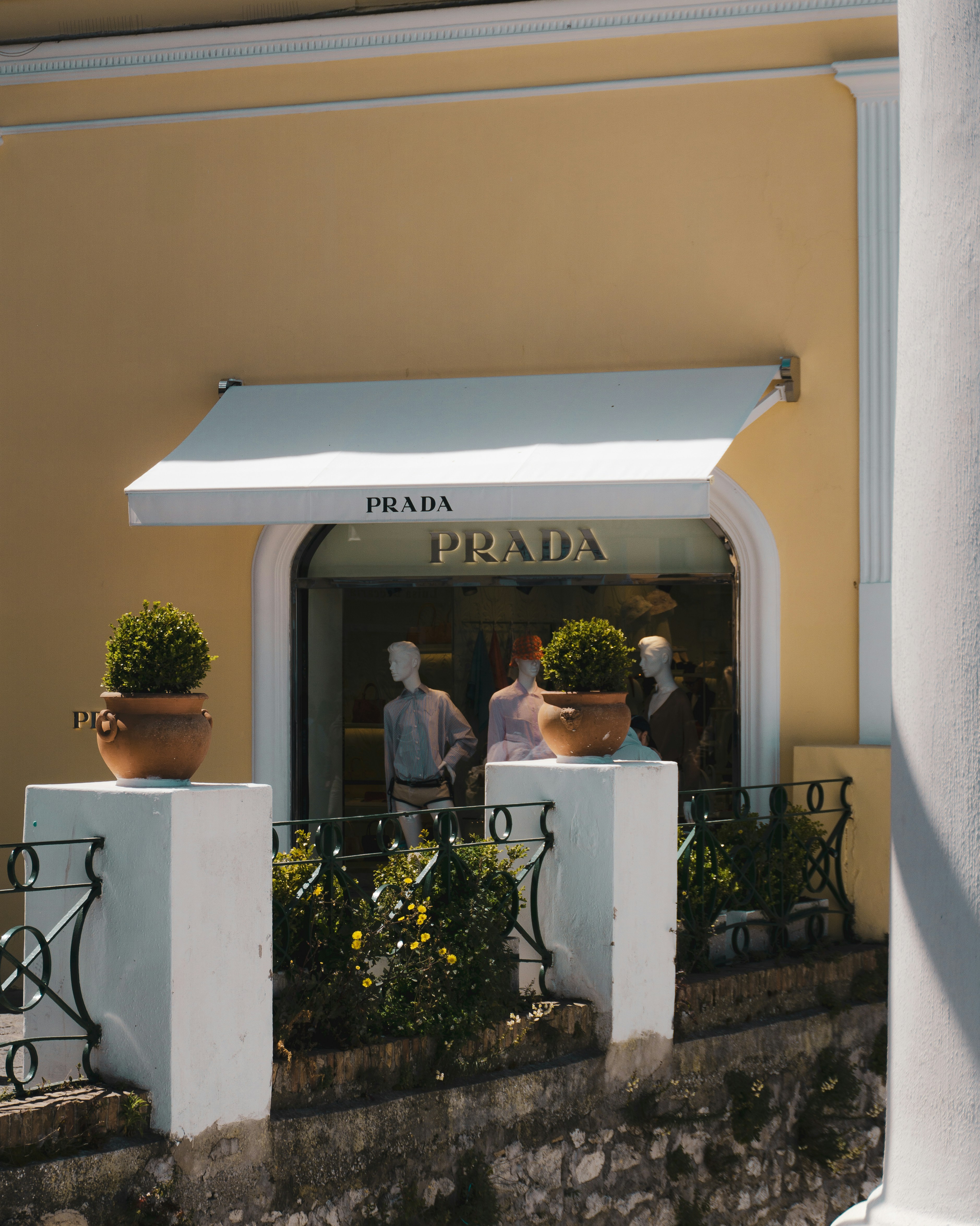 A prada store front with mannequins and plants. photo – Free Aesthetic ...