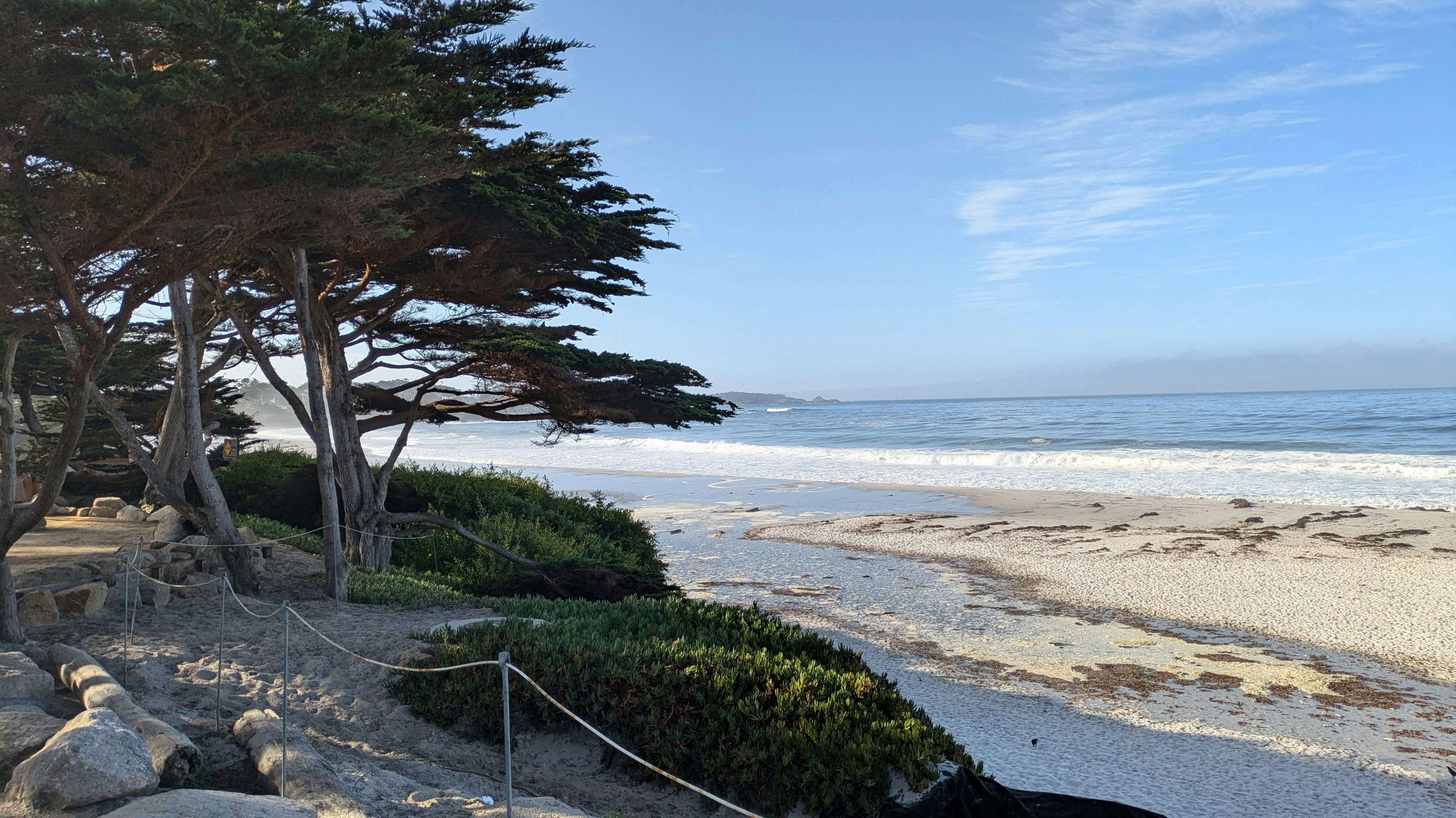 Sample photo from Google Pixel 8a