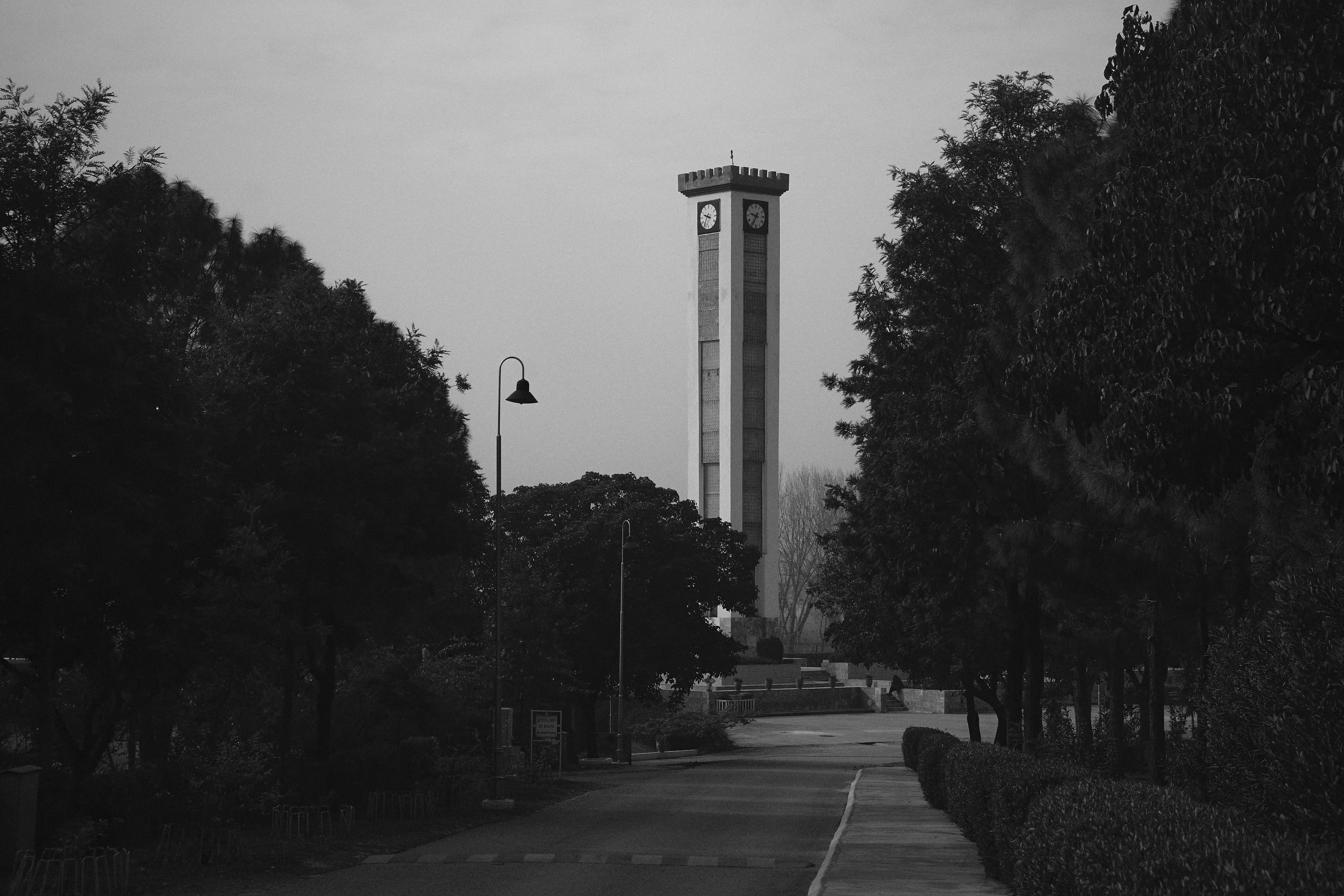 A black-and-white photograph of a tree-lined park path converging on a tall clock tower in the distance.