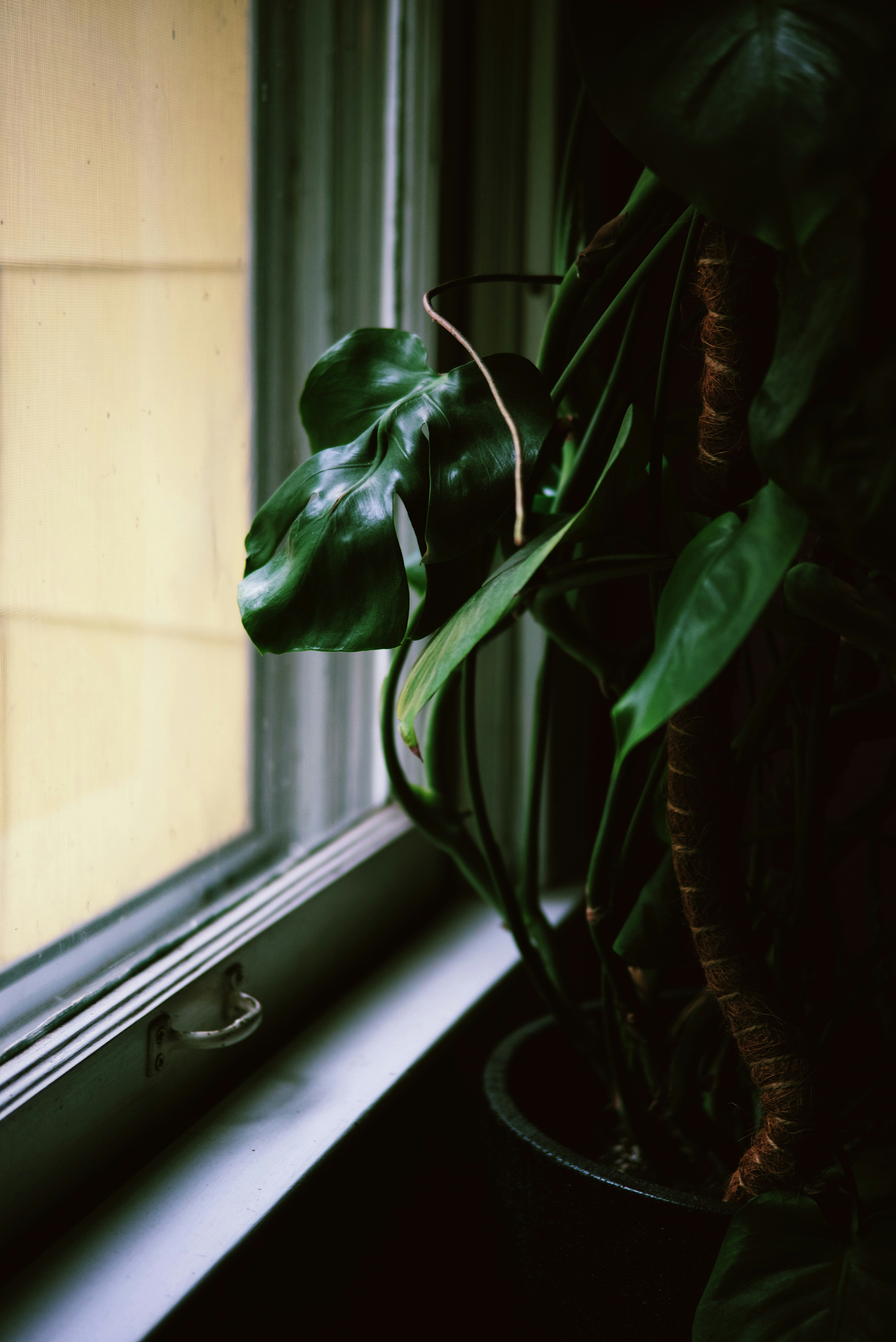 Photo by Frank Pham with Leica M (Typ 240)