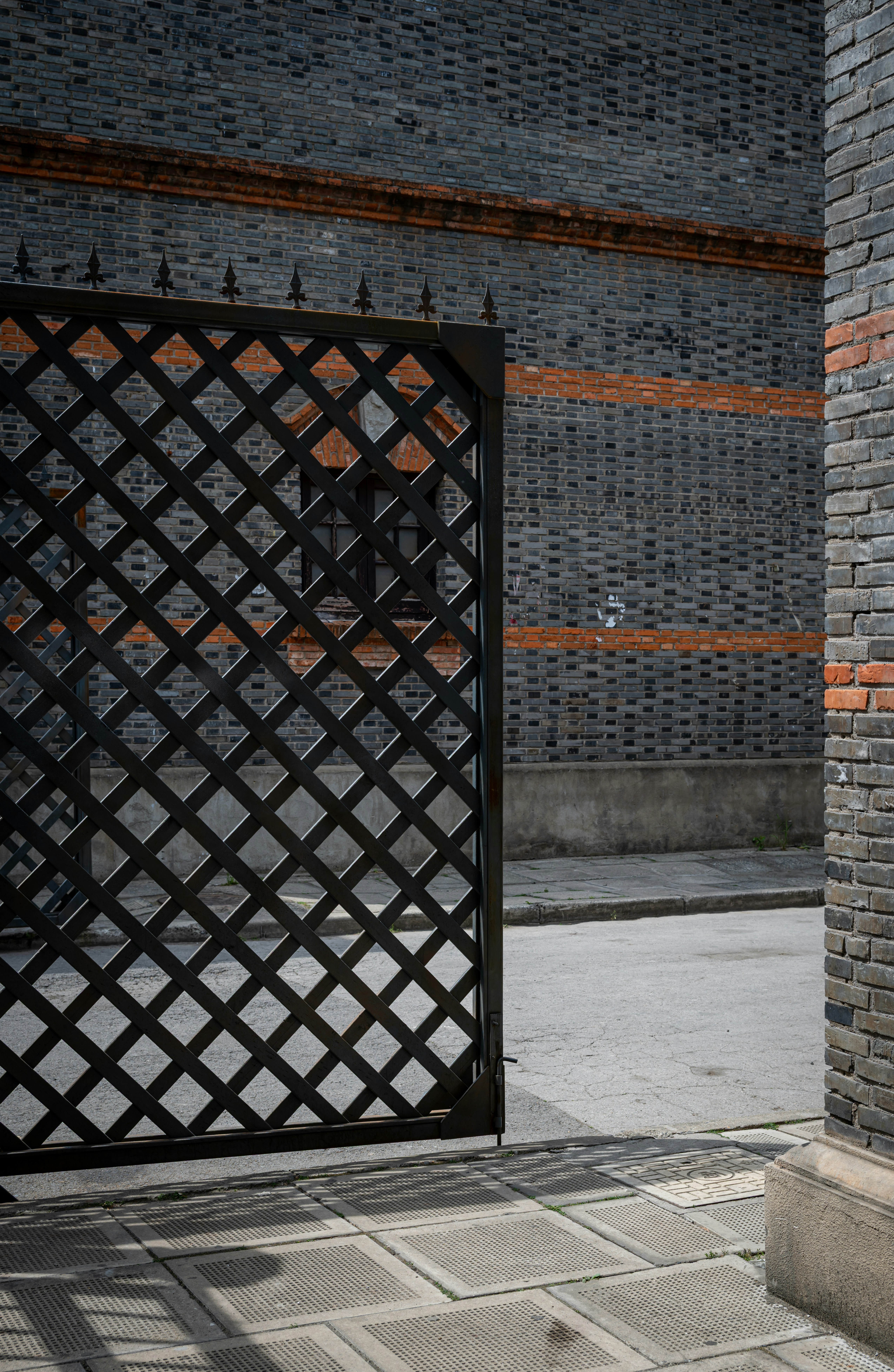 Photo by Declan Sun with Nikon Z8