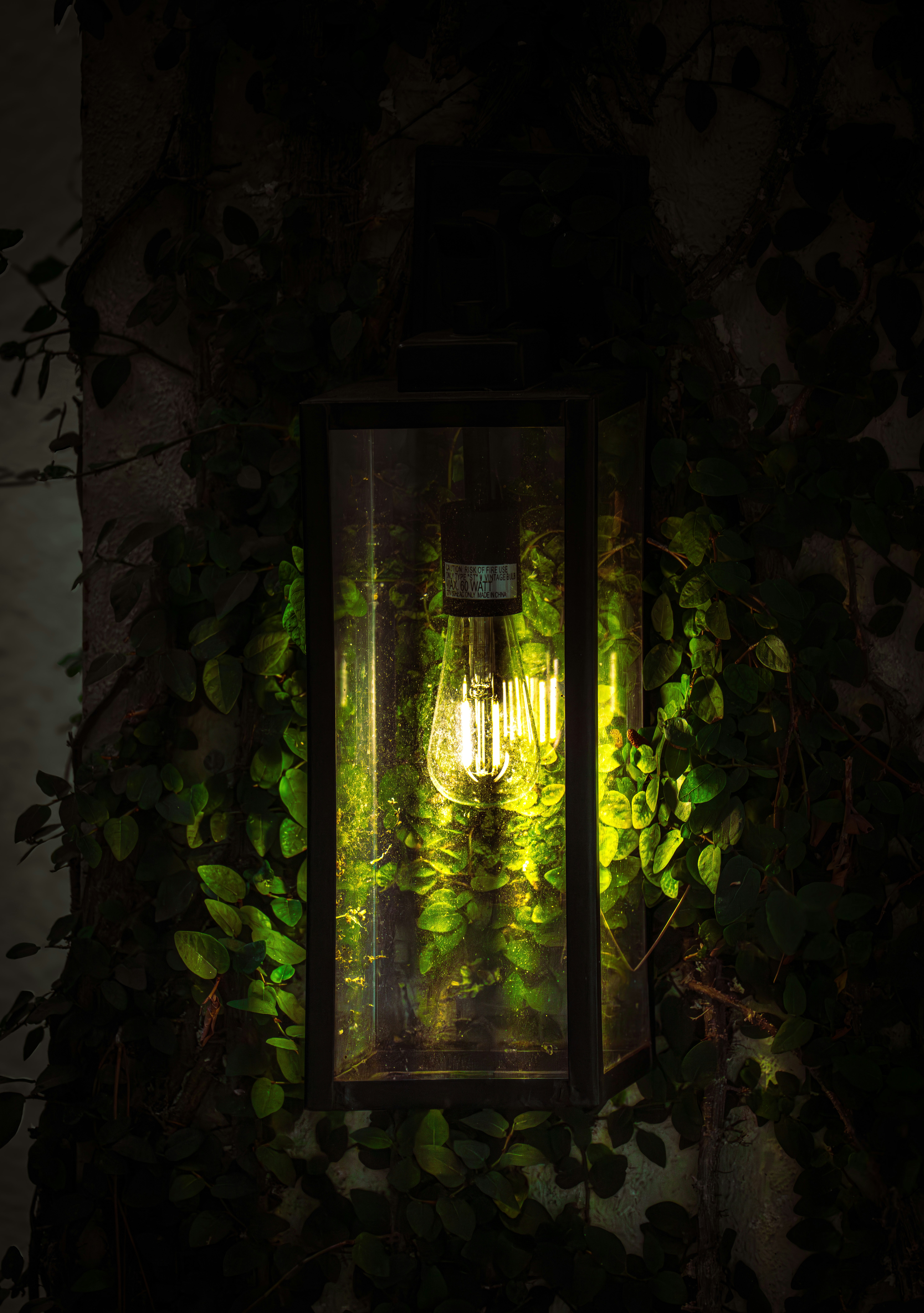 A glowing lantern overtaken by ivy — where light meets nature in a quiet, forgotten corner. Capturing the silent beauty of decay, overgrowth, and warm illumination. Perfect for themes of nature reclaiming, moody ambiance, and rustic storytelling.