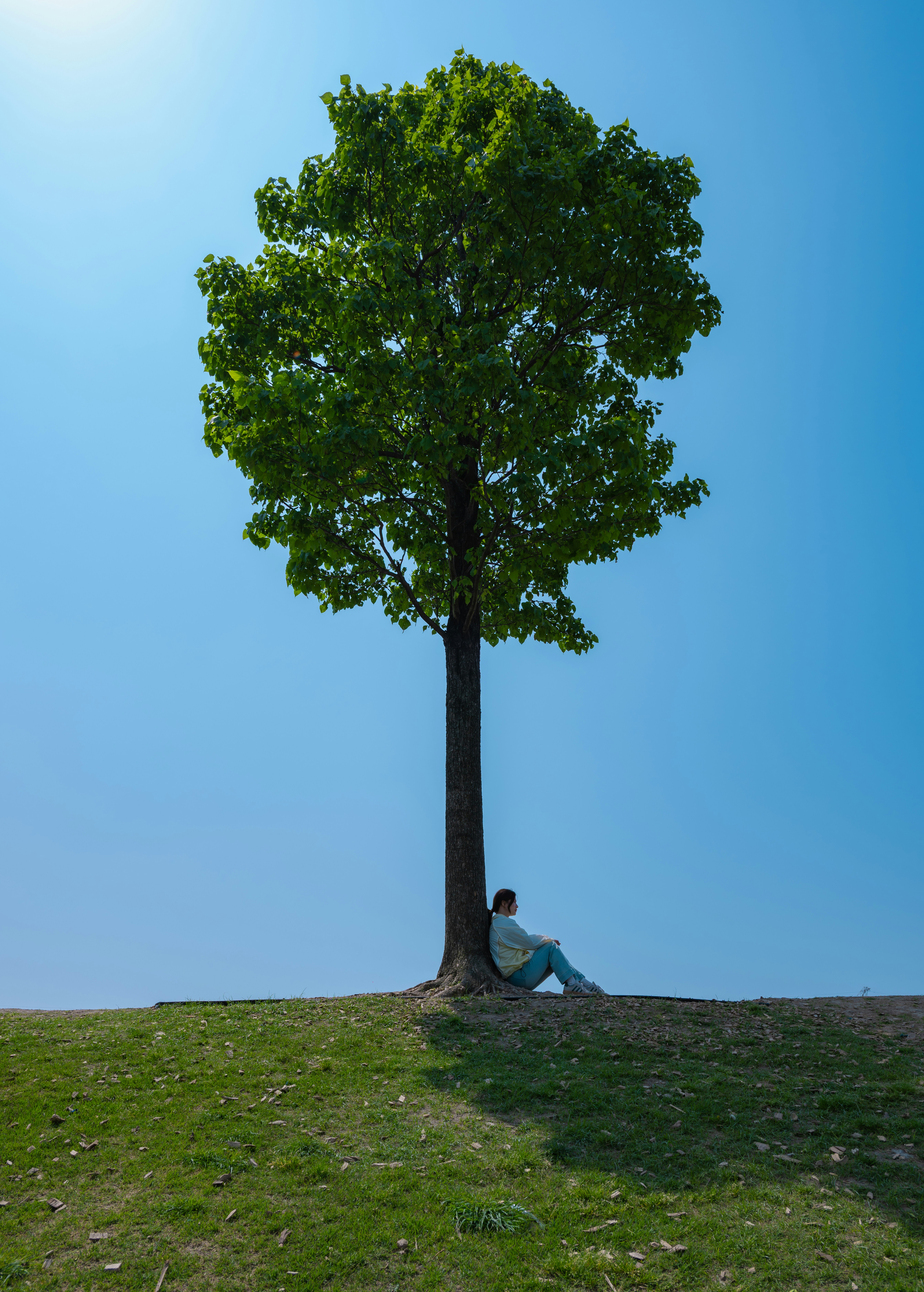 Photo by Declan Sun with Nikon Z8