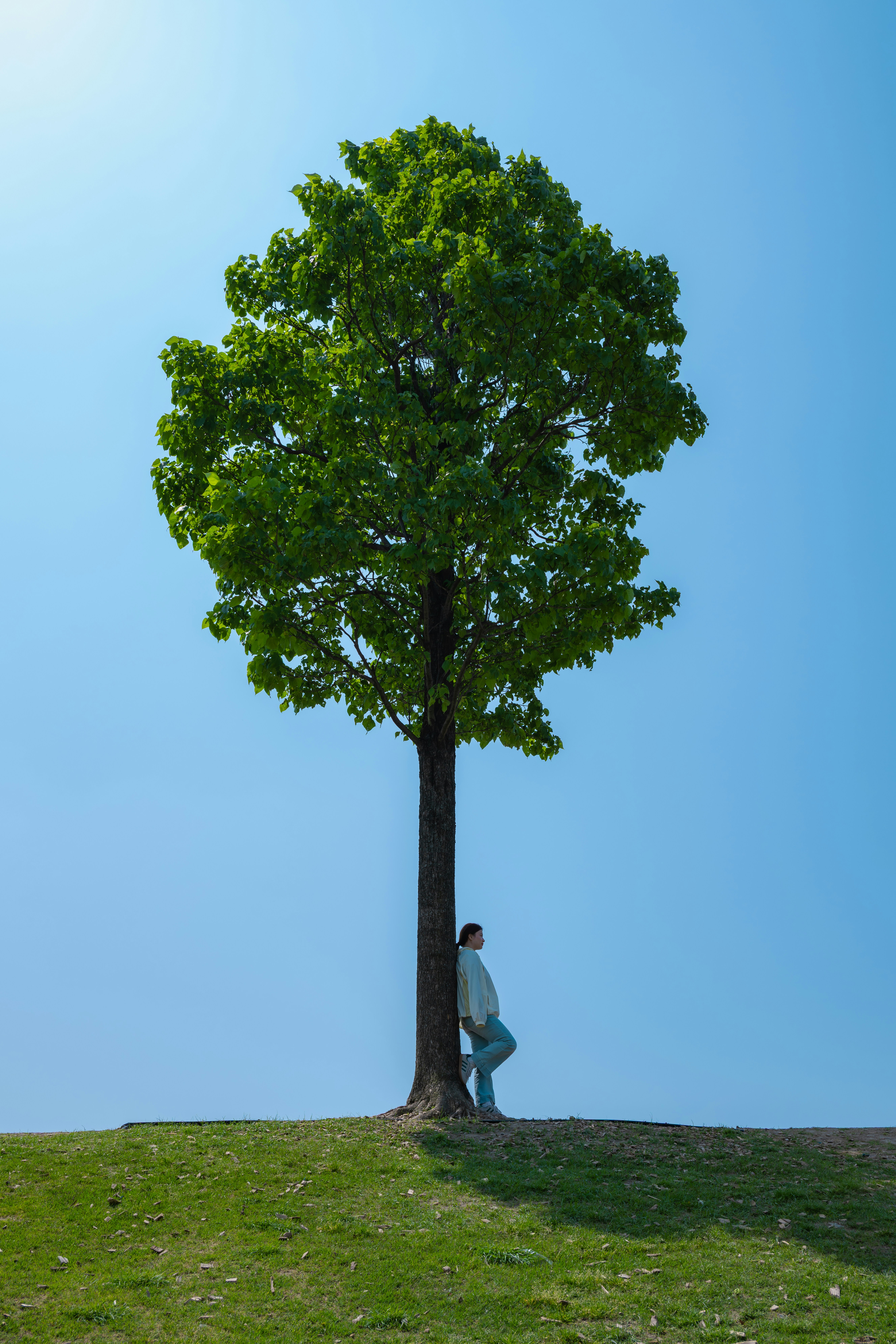 Leaning Against the Sky: A Lone Tree and Its Quiet Companion