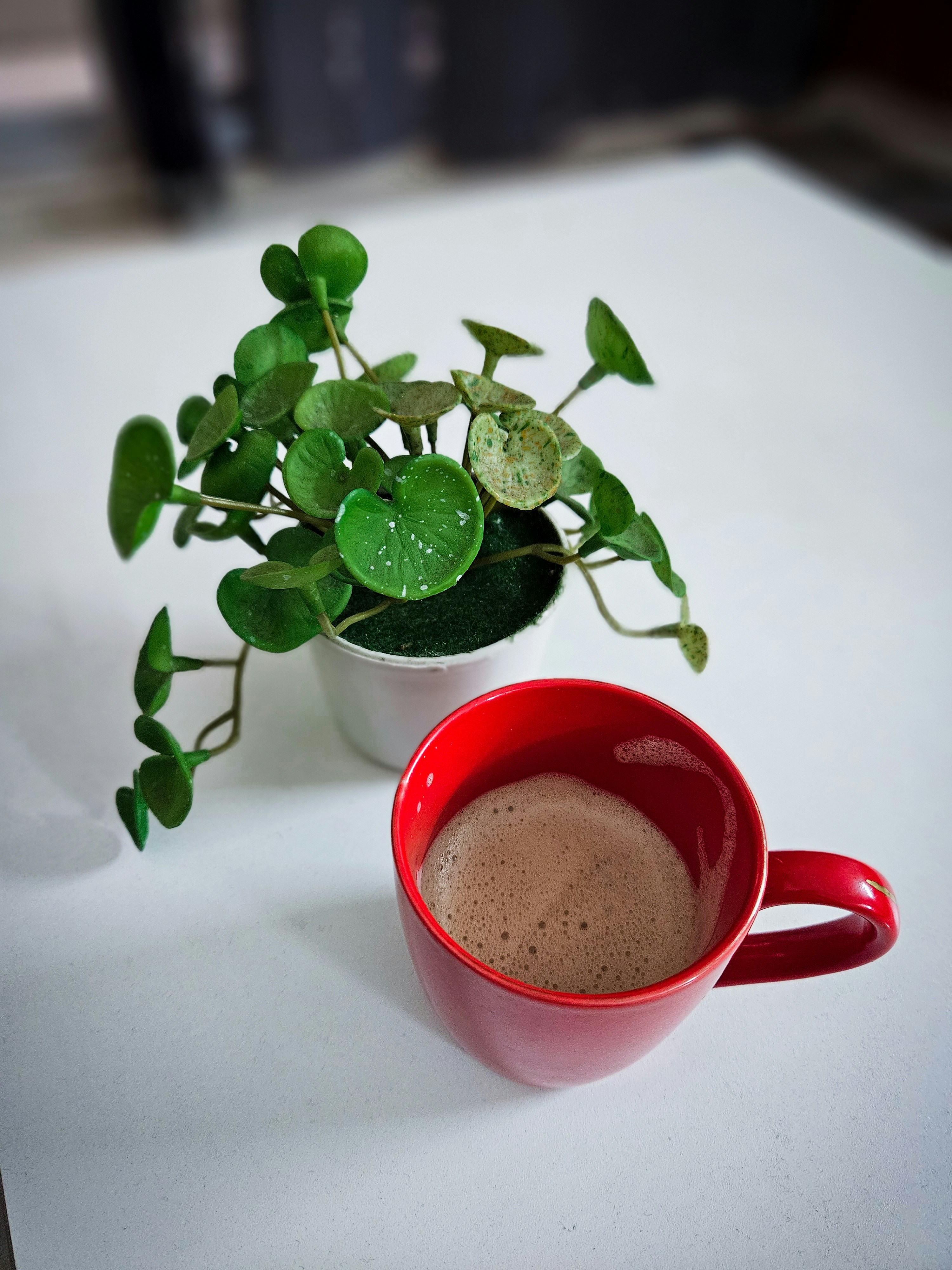 Morning Serenity: A Cozy Corner with Coffee and Greenery