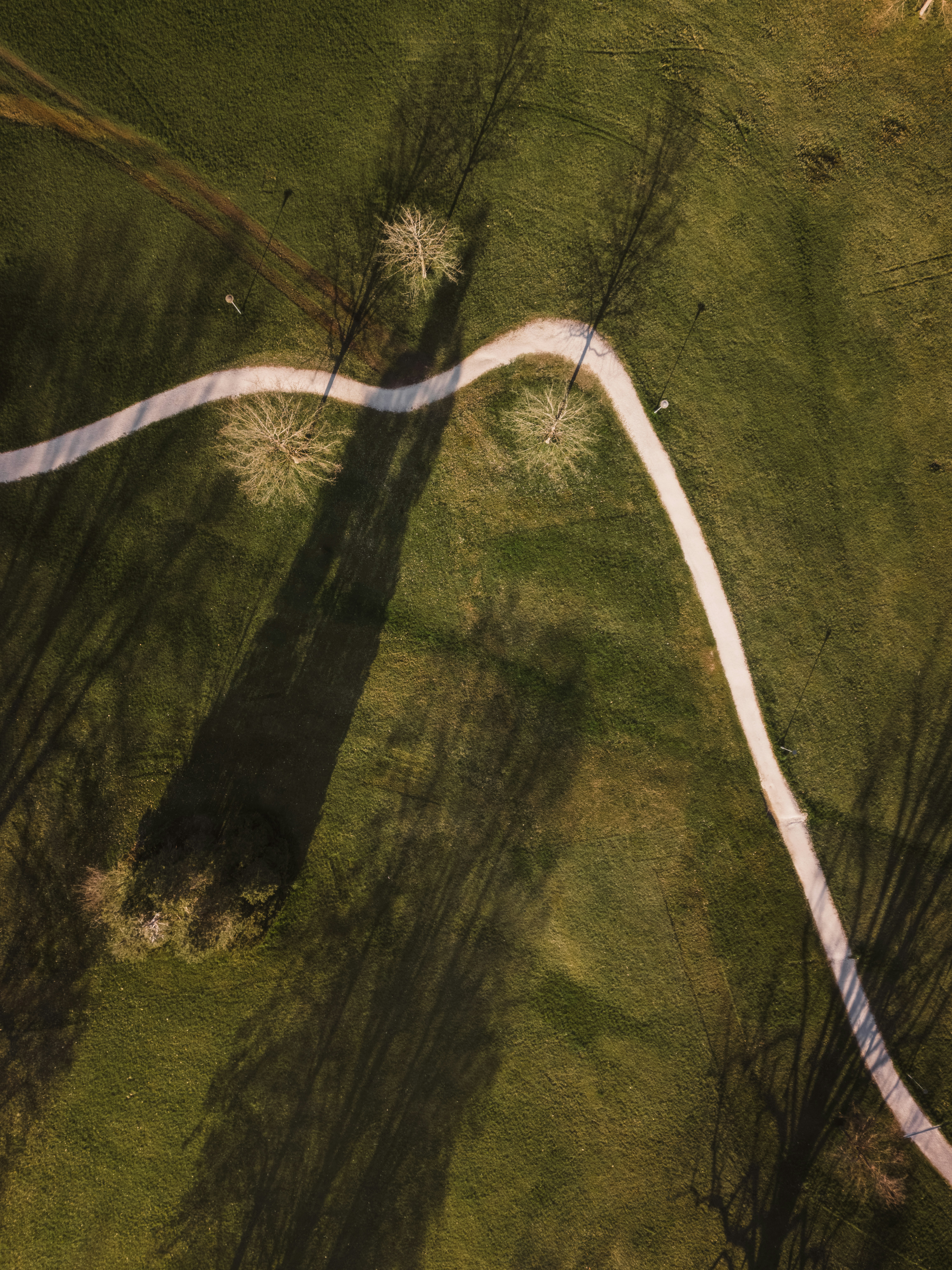Curving White Path Through Sunlit Park Shadows