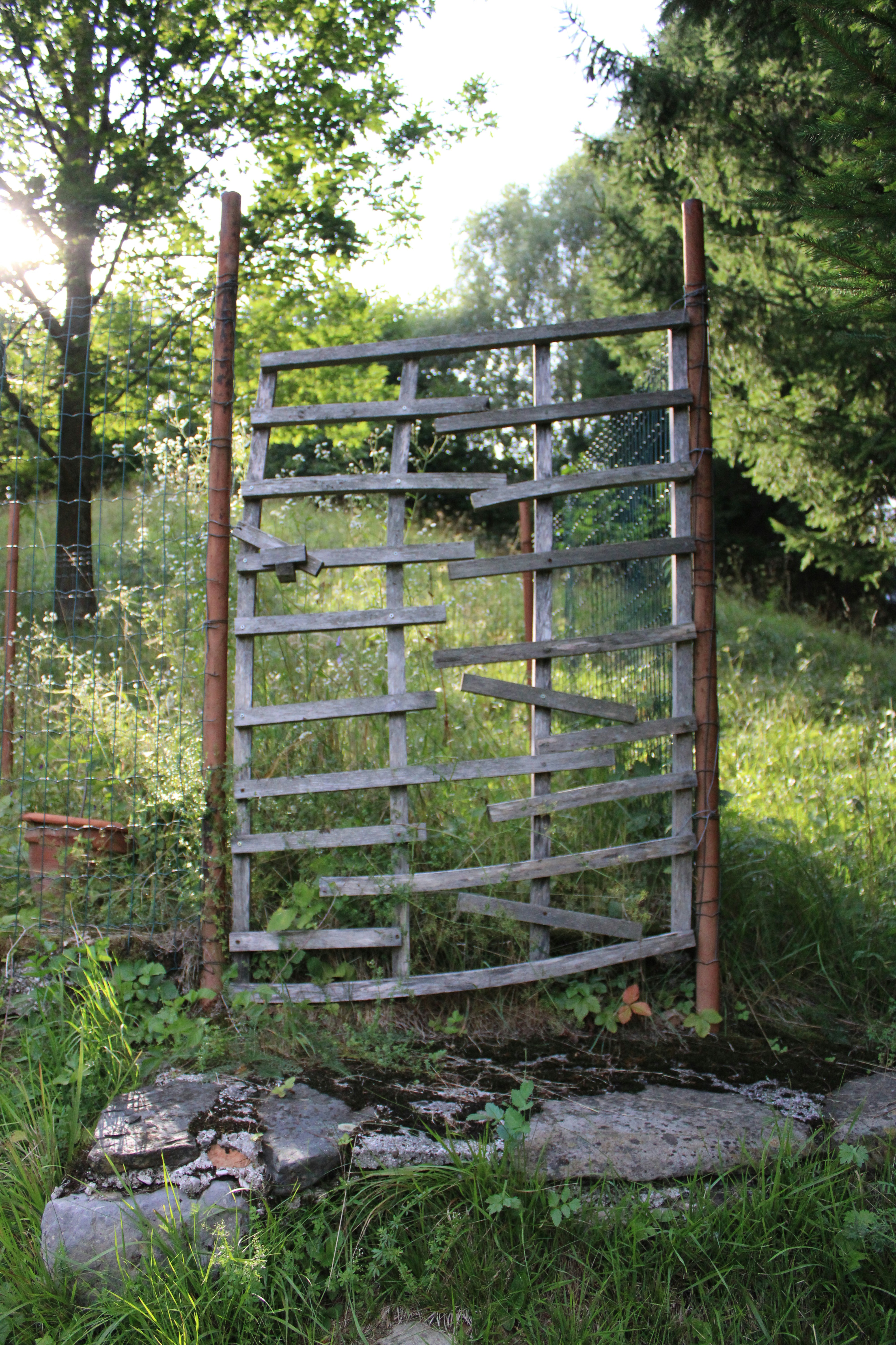 A weathered wooden gate partially leaning amidst lush greenery and stones, showcasing the passage of time and nature's reclamation.