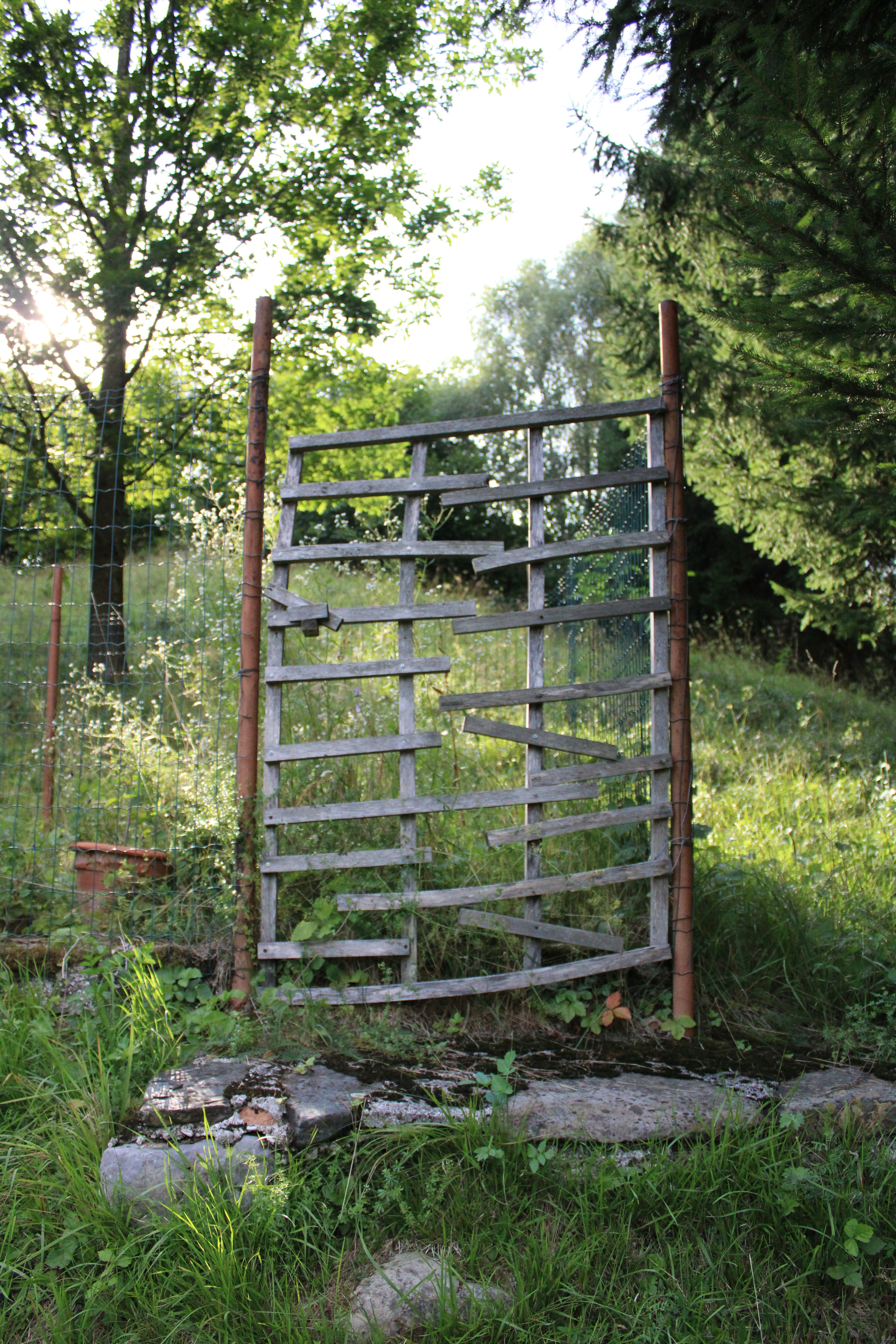 Gate of Dappled Light: Weathered Wood in a Meadow