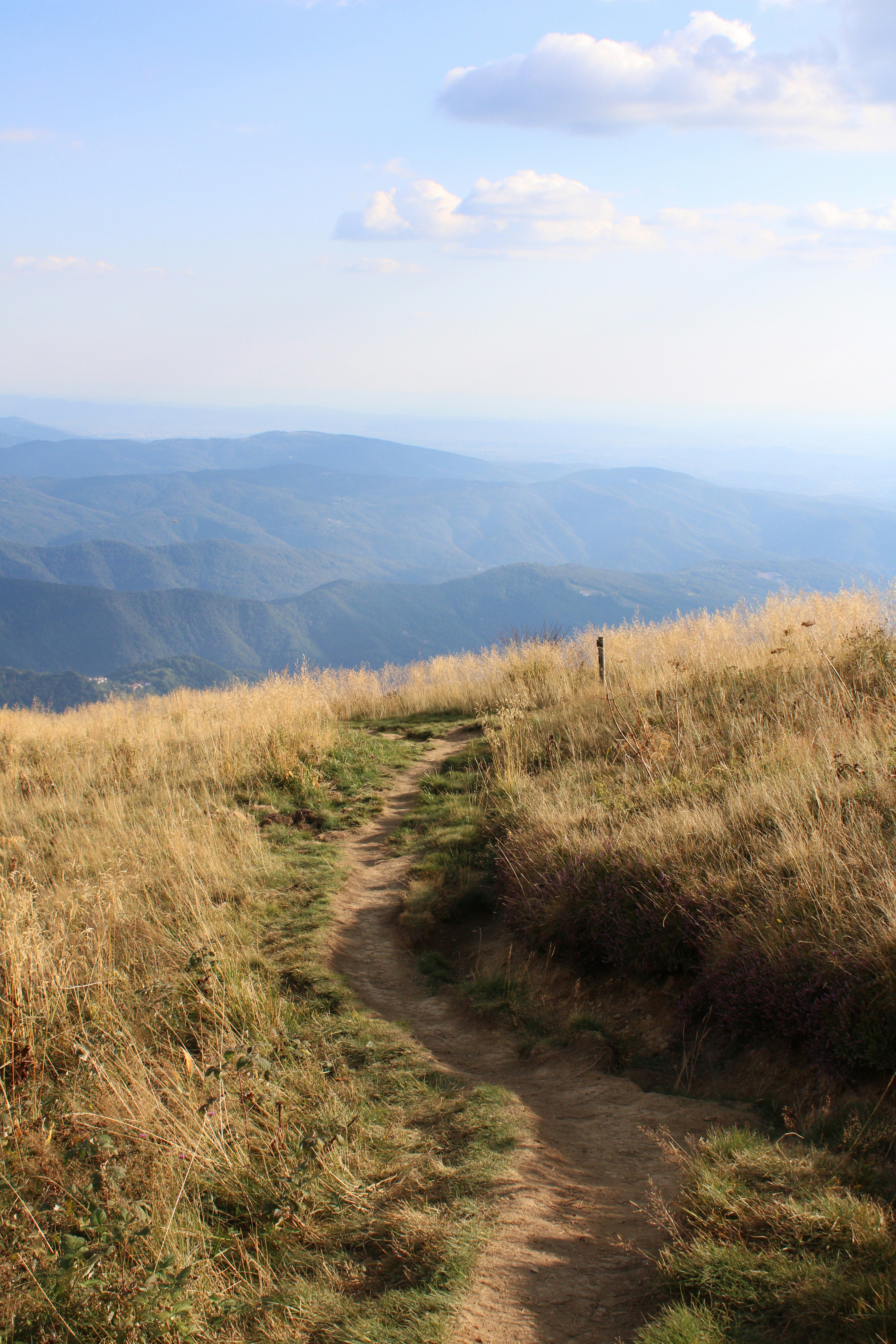 Trail to the Quiet Horizon: A Golden Ridge