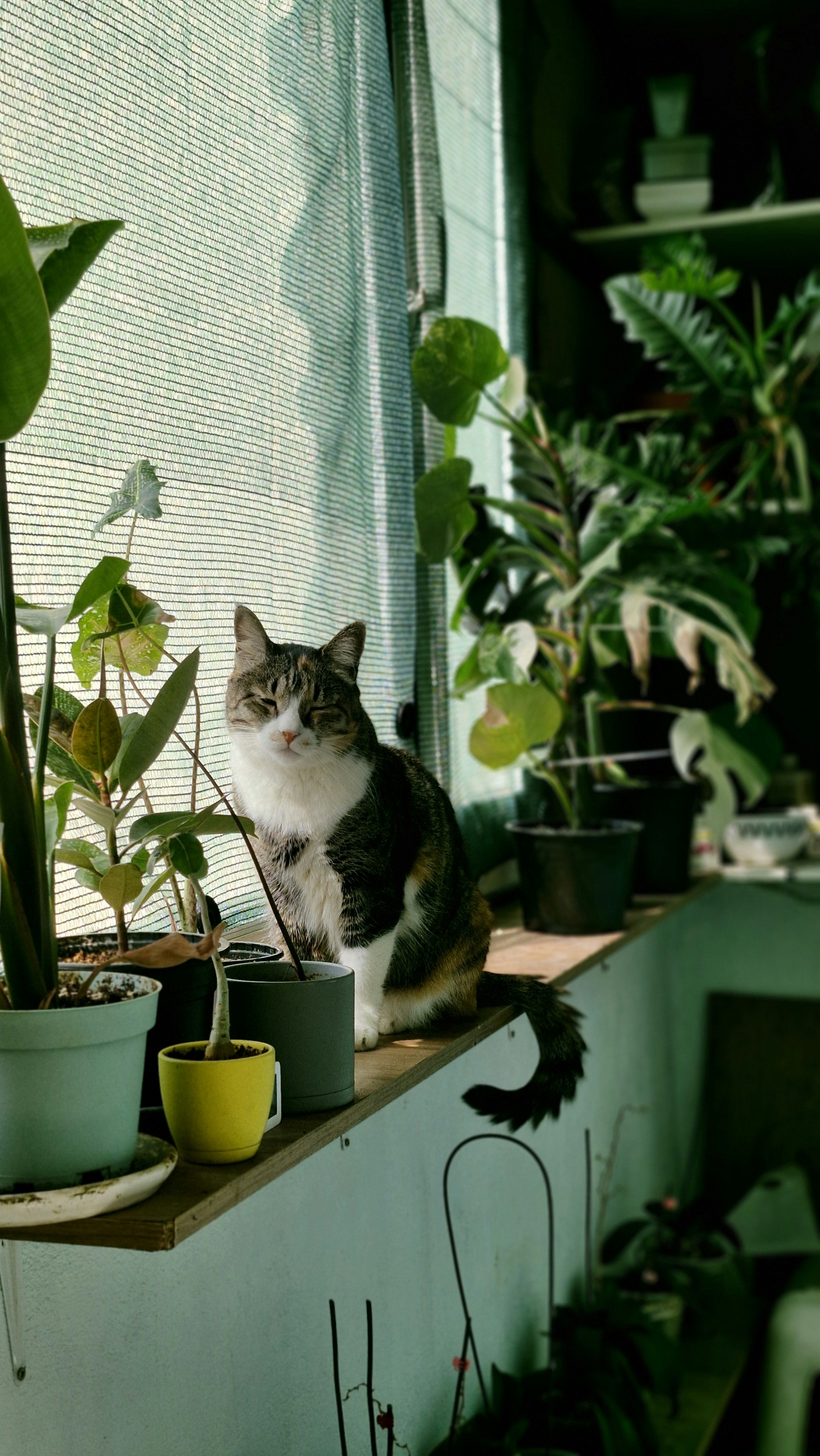 Sample photo from Samsung Galaxy S23 FE