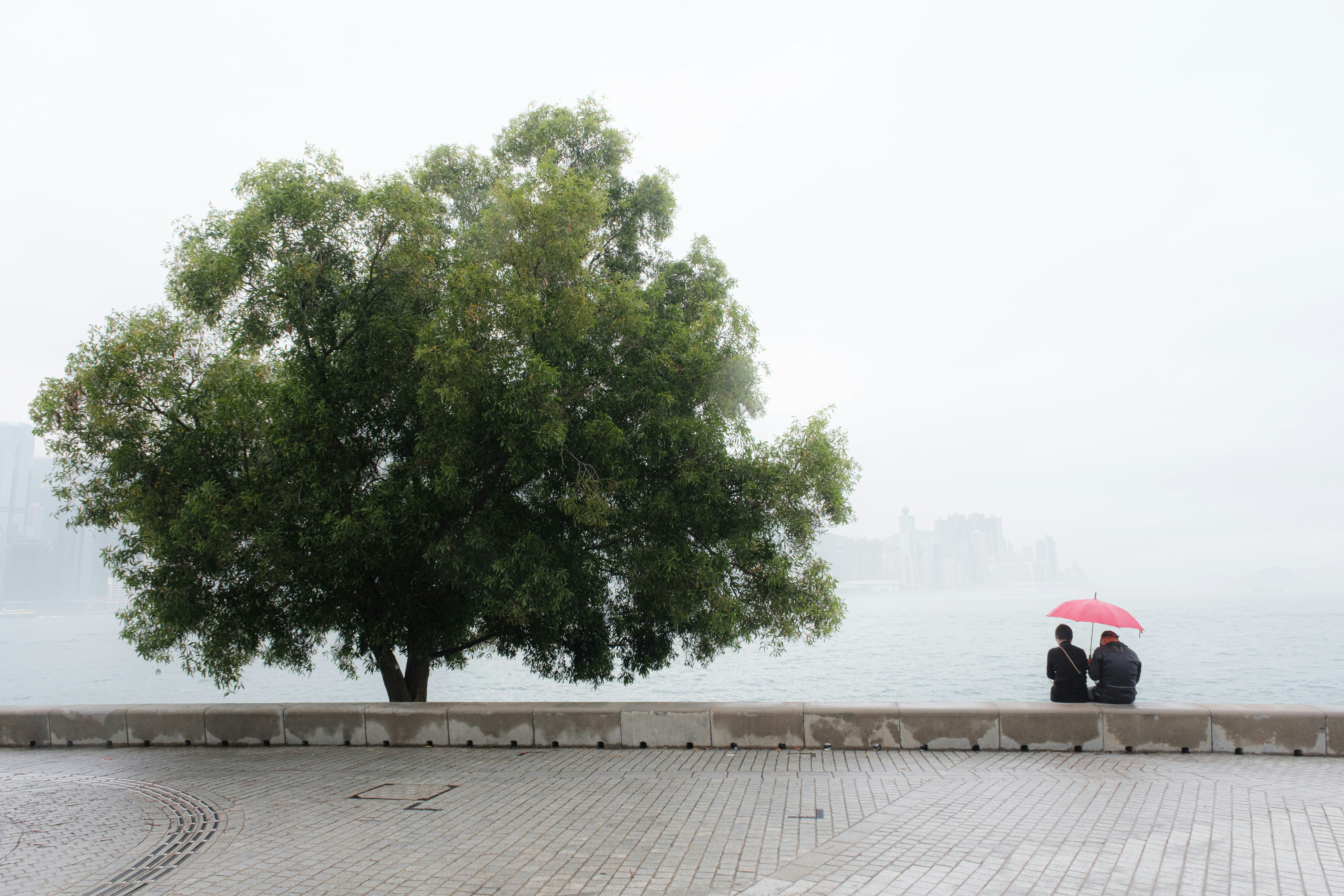 Two people seek shelter under a red umbrella. photo – Free Couple Image ...