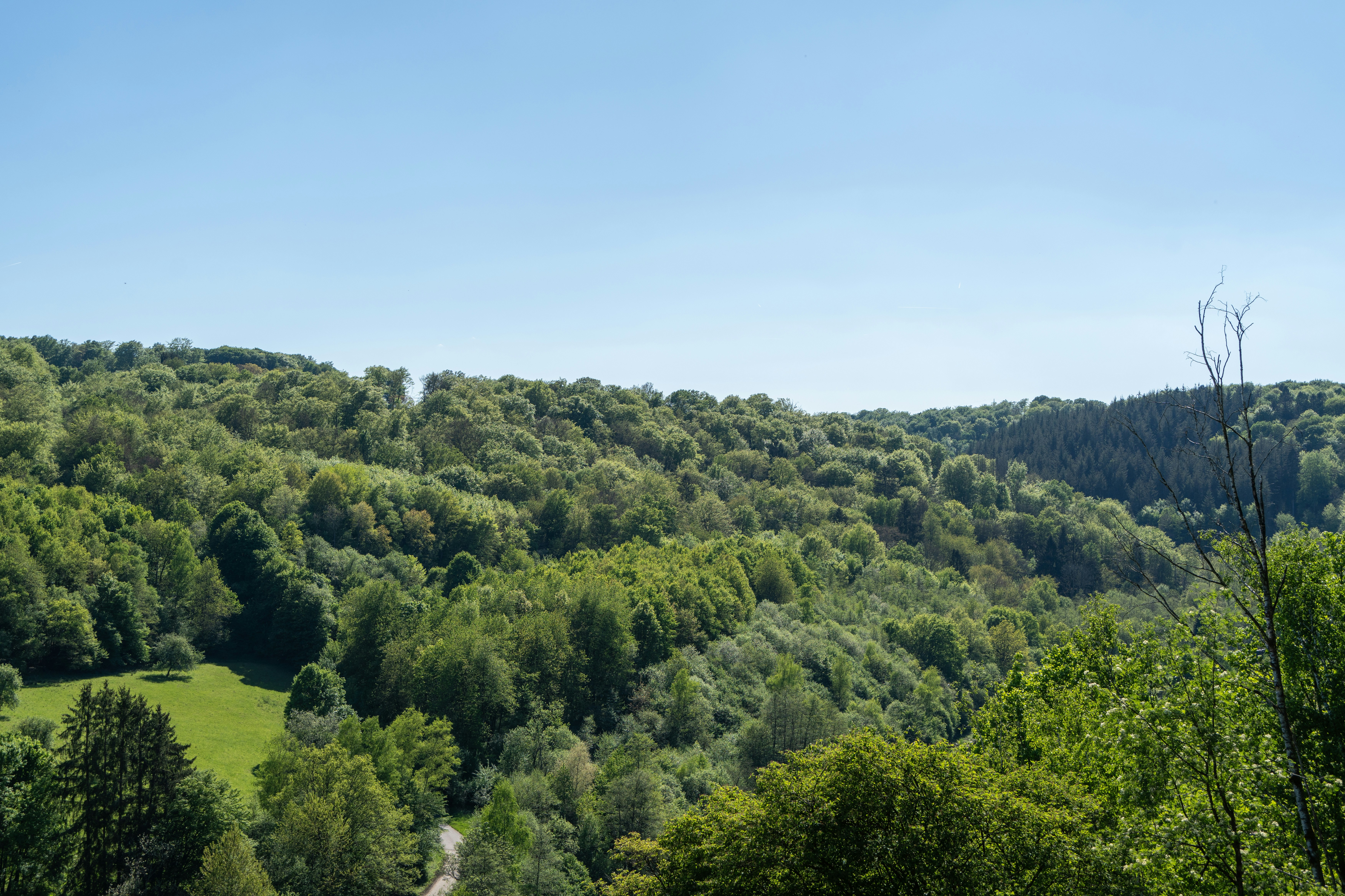Verdant Ridge under Cerulean Skies: A Quiet Panorama of Hills and Forest