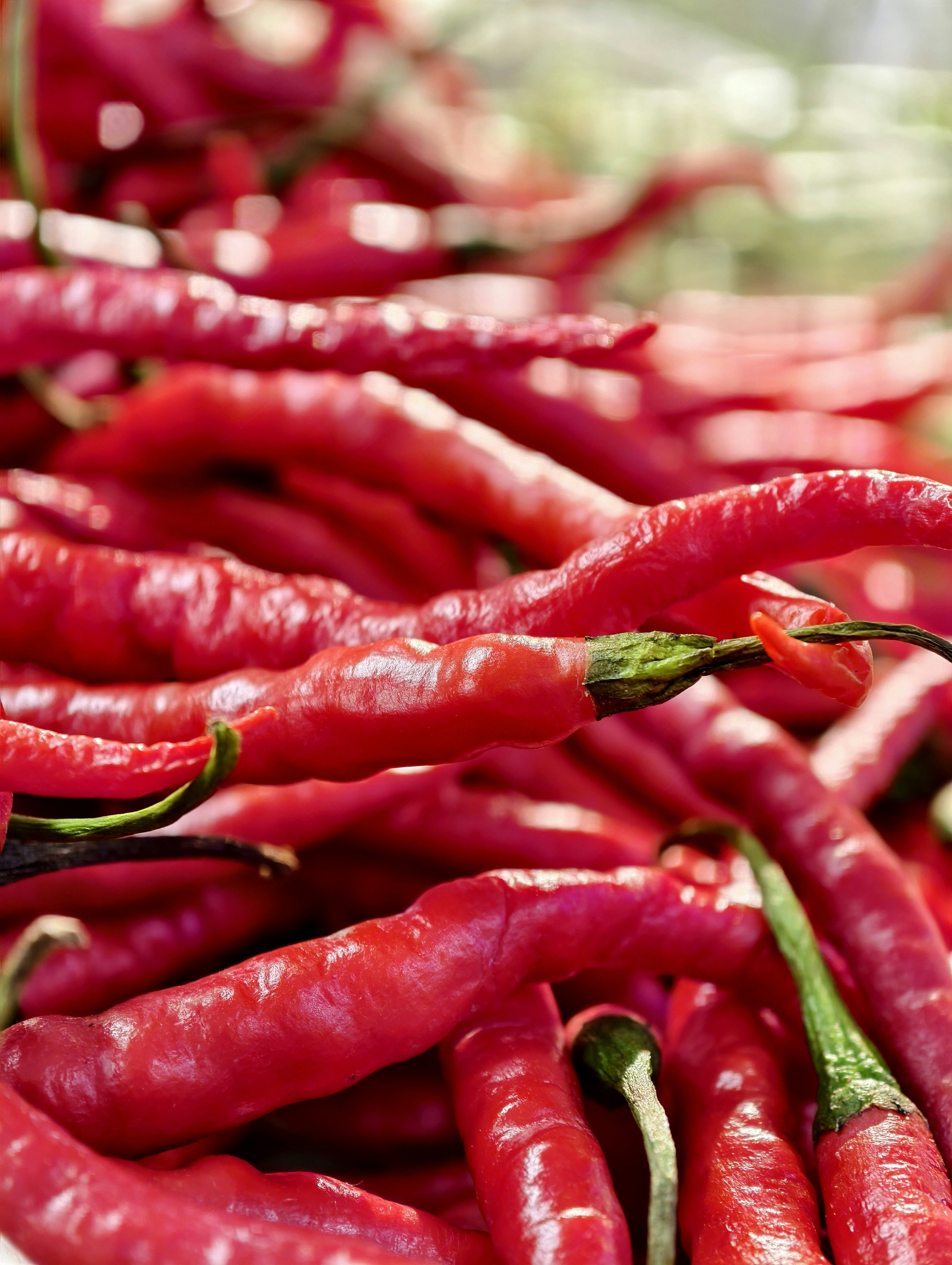 A vibrant array of red chili peppers, showcasing their glossy texture and dynamic shapes, arranged in a visually appealing display.