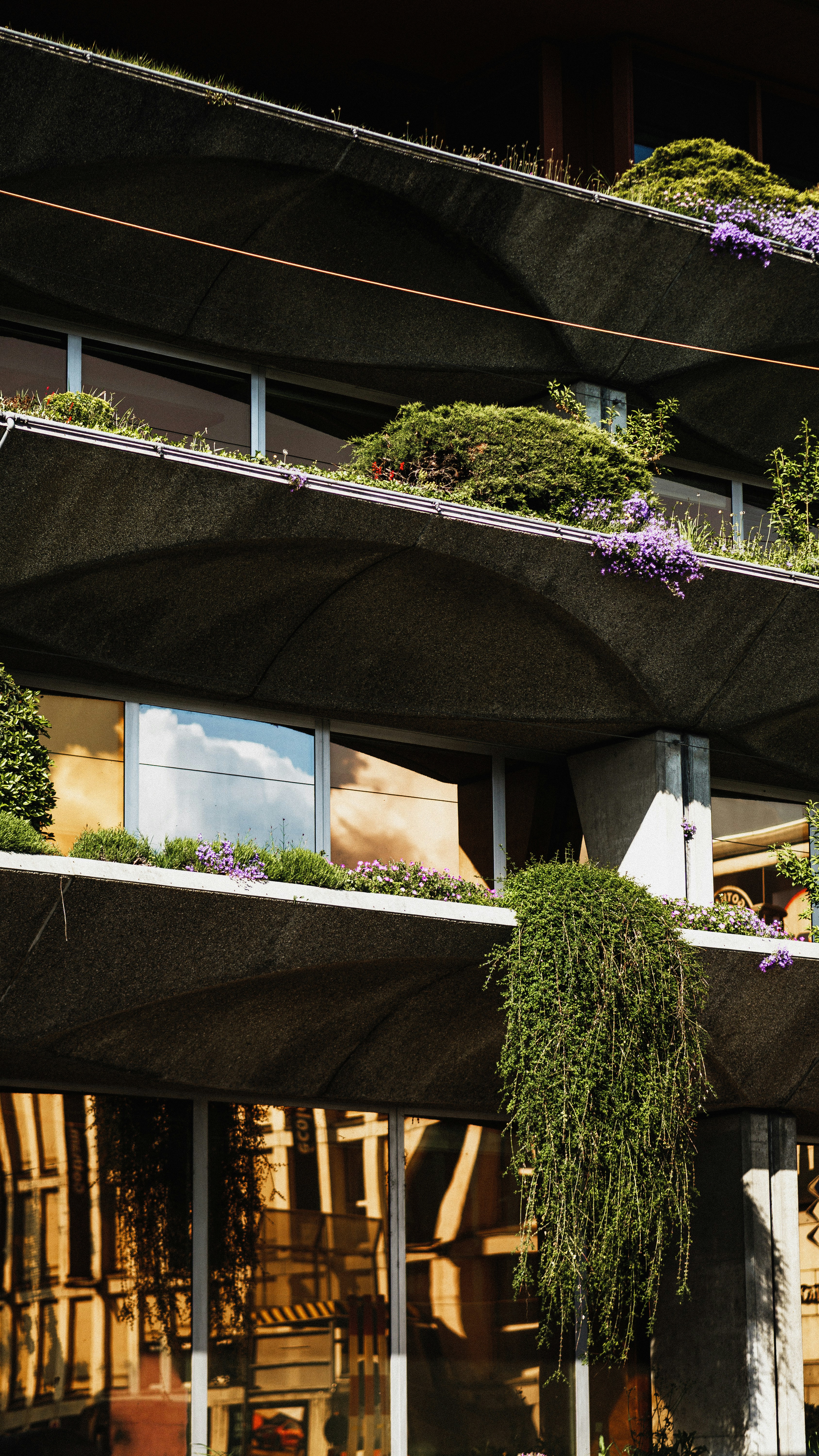 Photo by Miguel Lindo with Panasonic Lumix S5 II