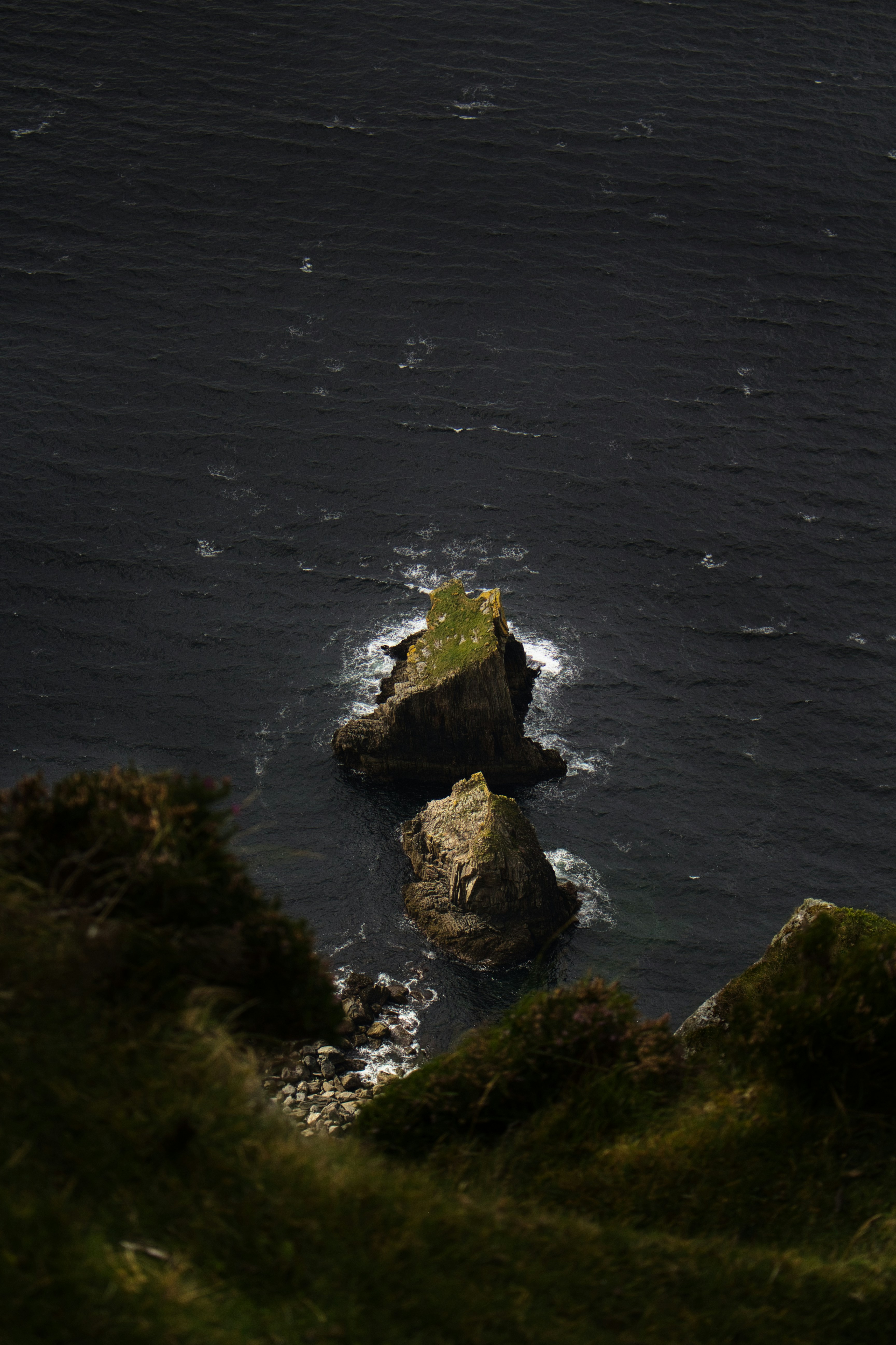 Green-Crowned Sea Stack: A Quiet Sentinel from the Cliff
