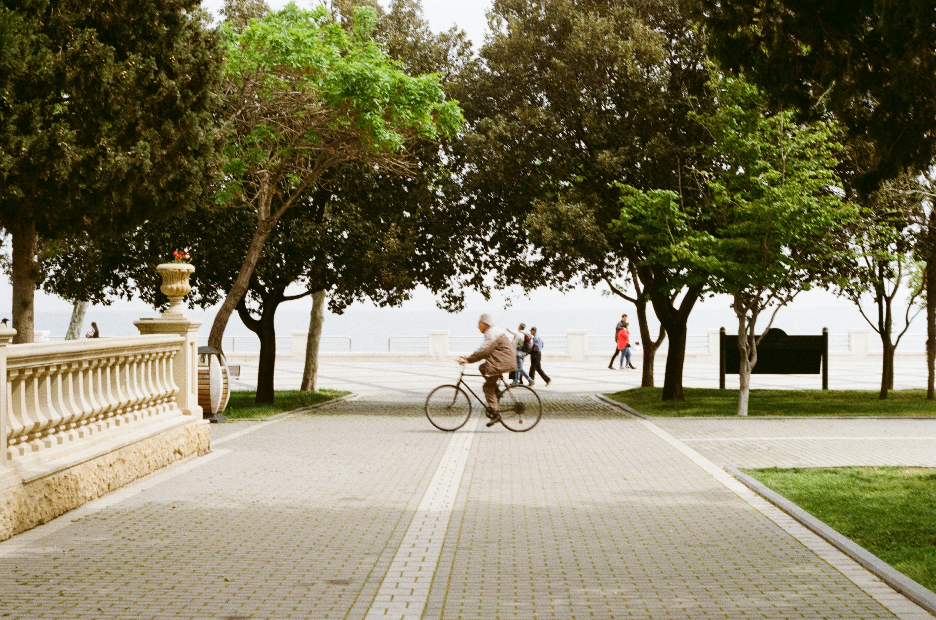 Seaside promenade photograph of a cyclist riding along a tree-lined path toward the water, bathed in warm daylight. Distant figures and the calm horizon emphasize everyday life by the shore.