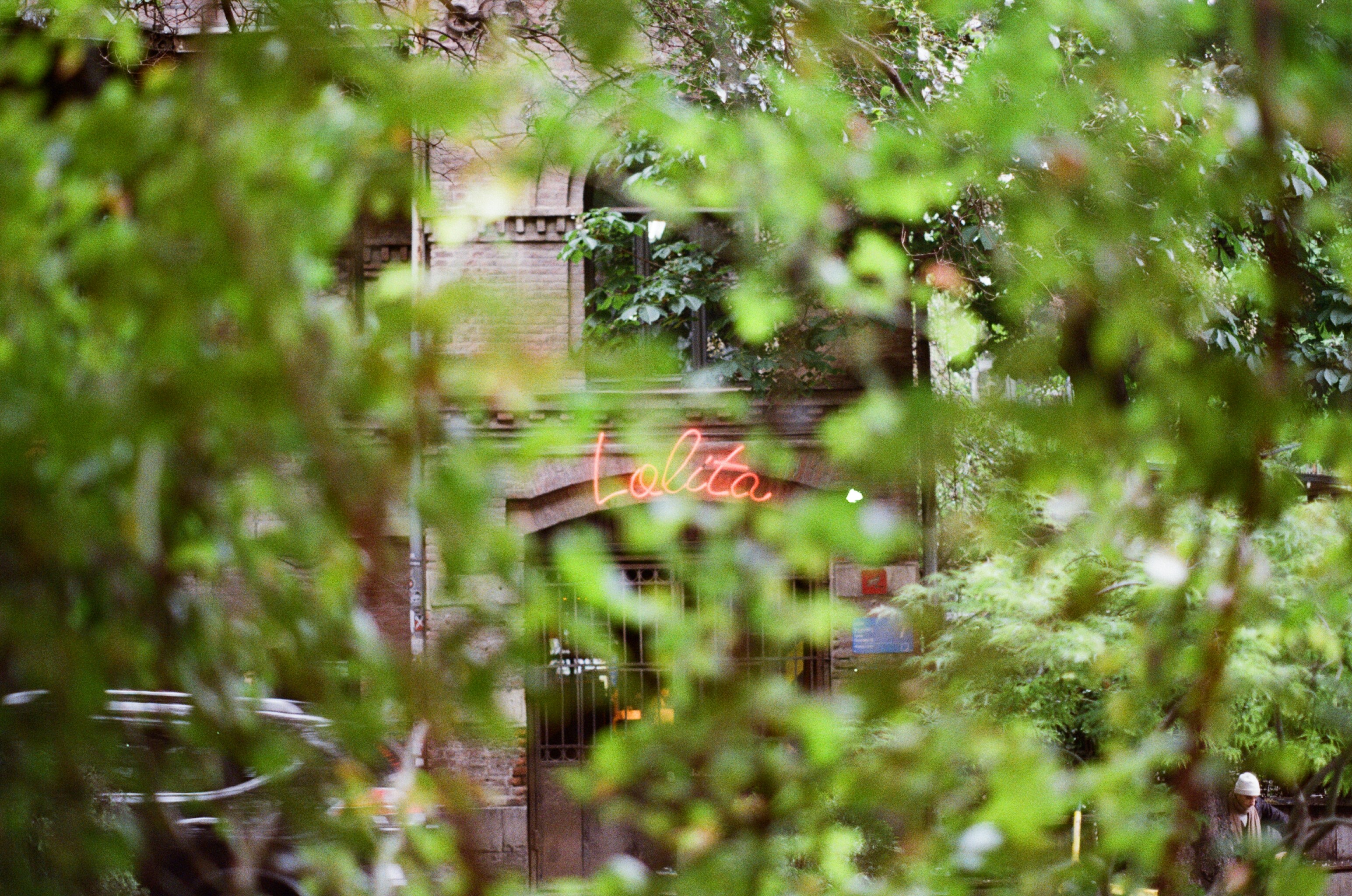 A neon sign peeks through a dense veil of leaves against a brick facade, captured with a shallow depth of field. Foreground foliage is blurred while the sign remains a soft, glowing focal point.