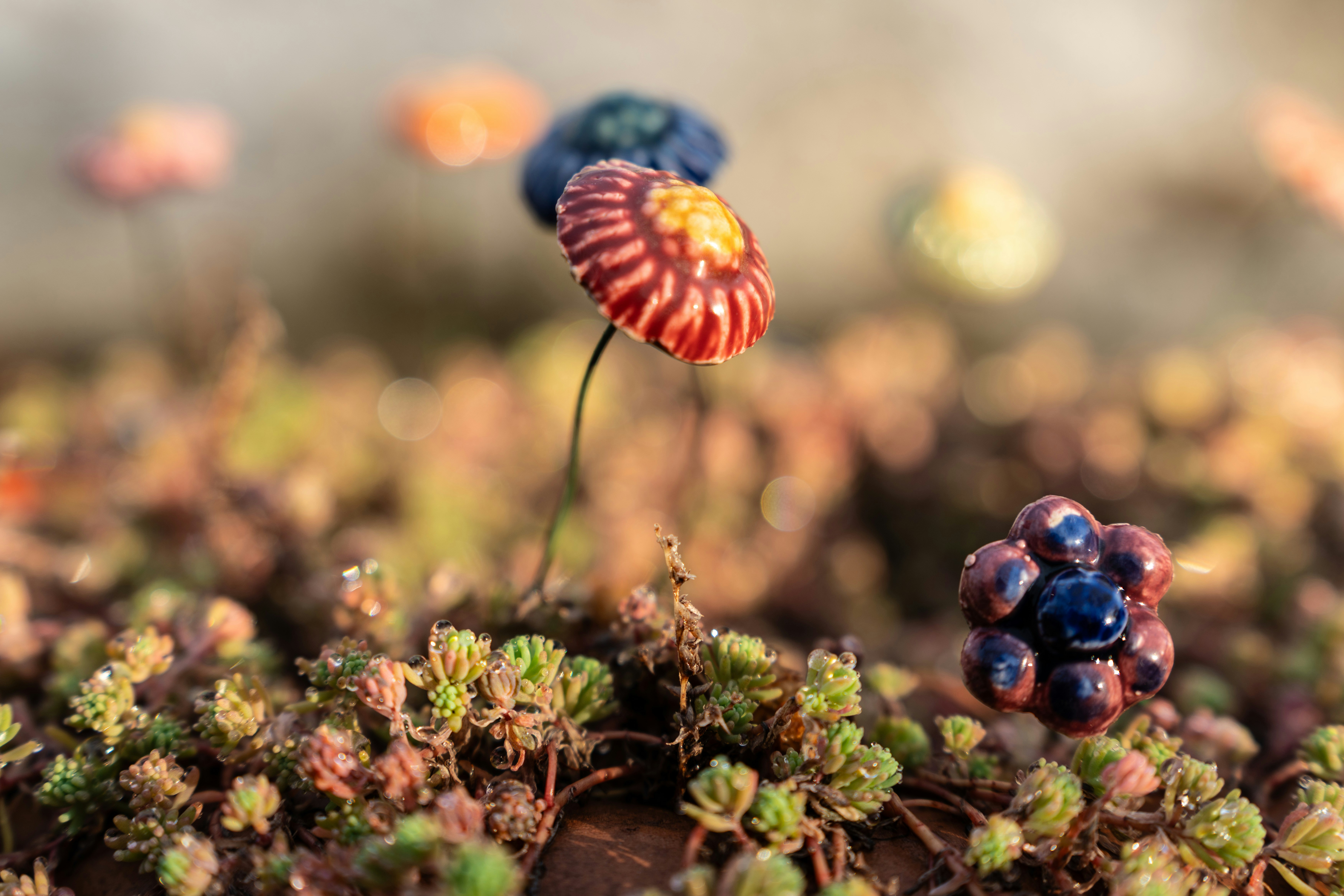 Red-capped toadstools among moss and berries
