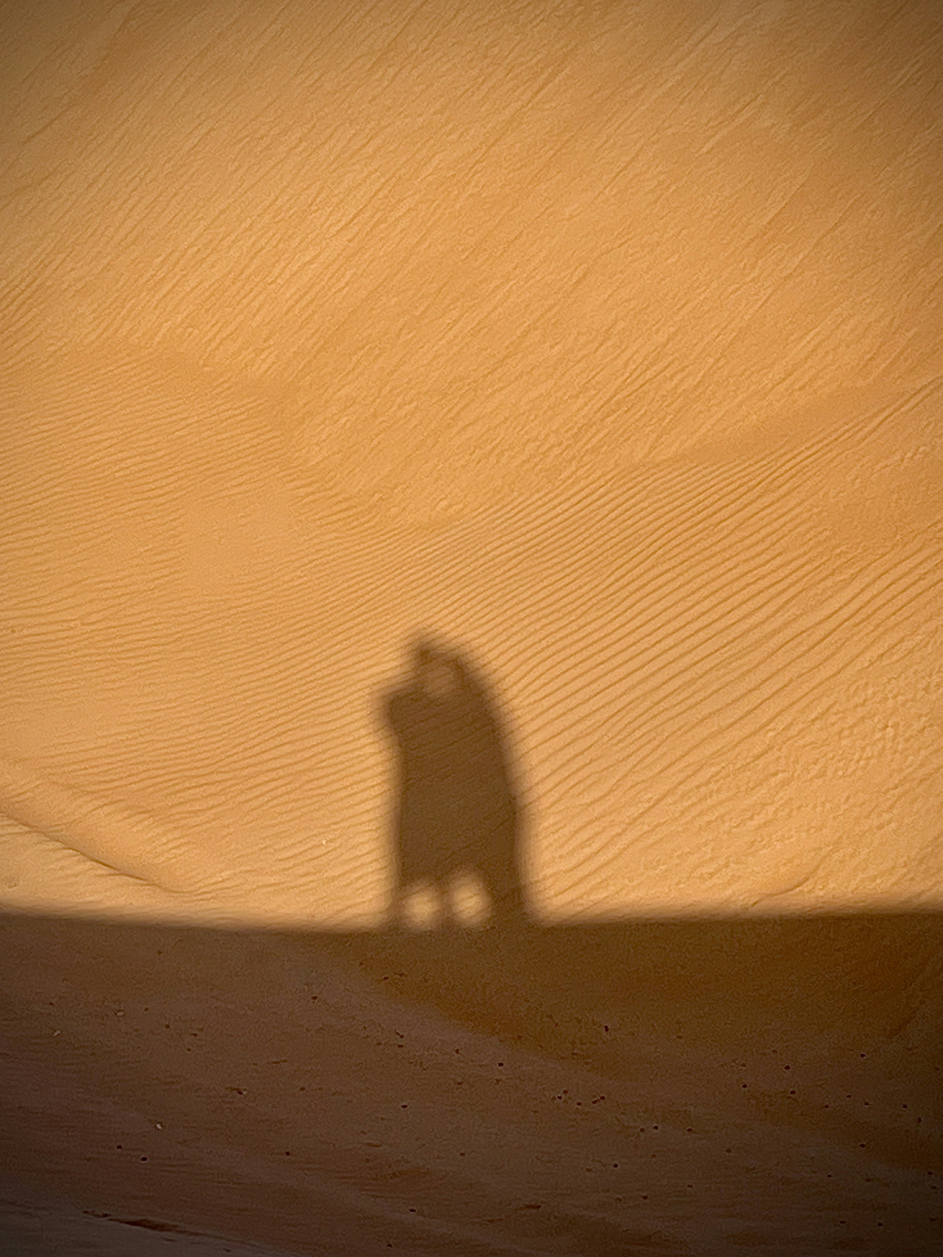 Shadowed Silhouette on Golden Dunes