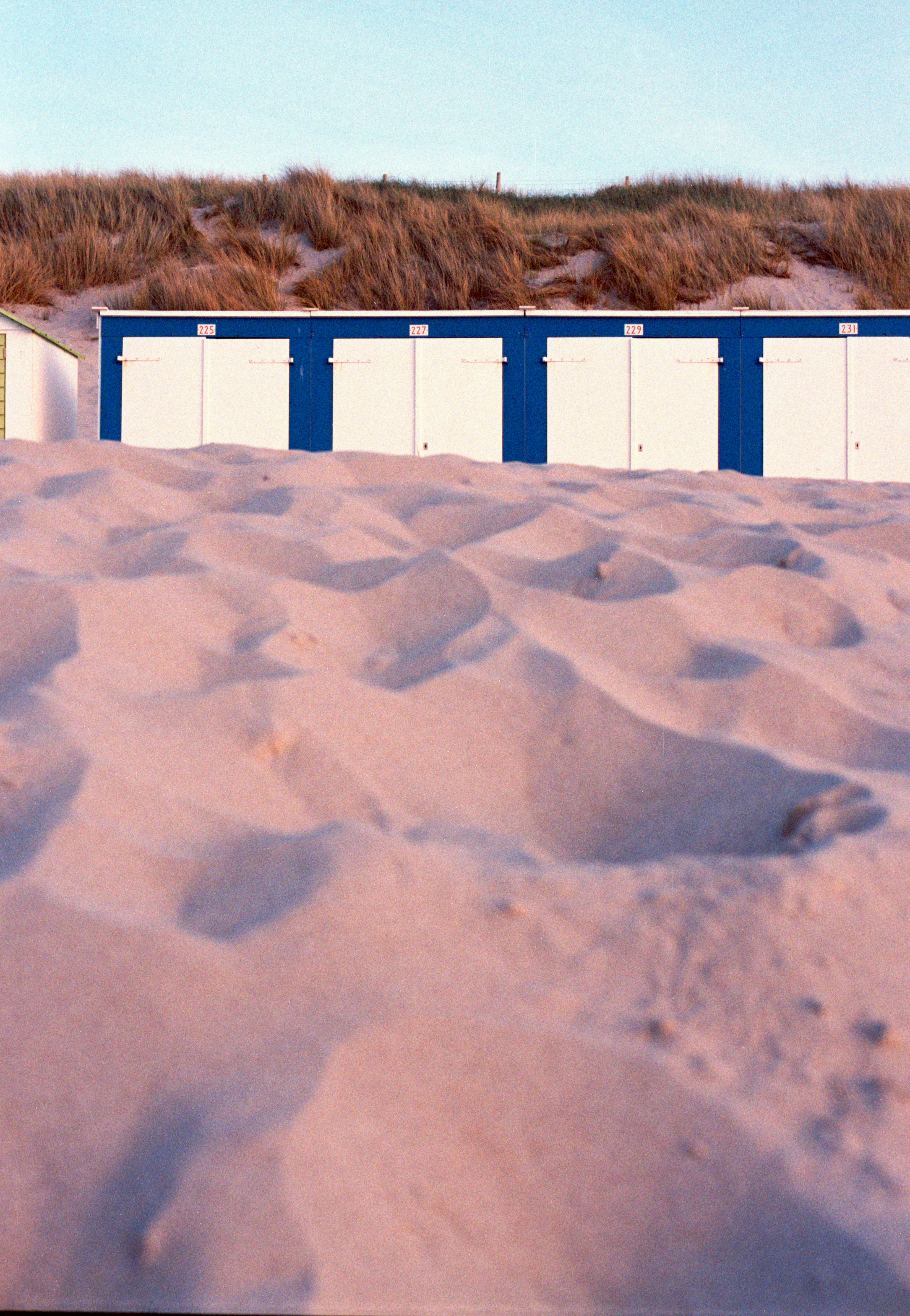 Photo by Chris Weiher with Plustek OpticFilm 8300i