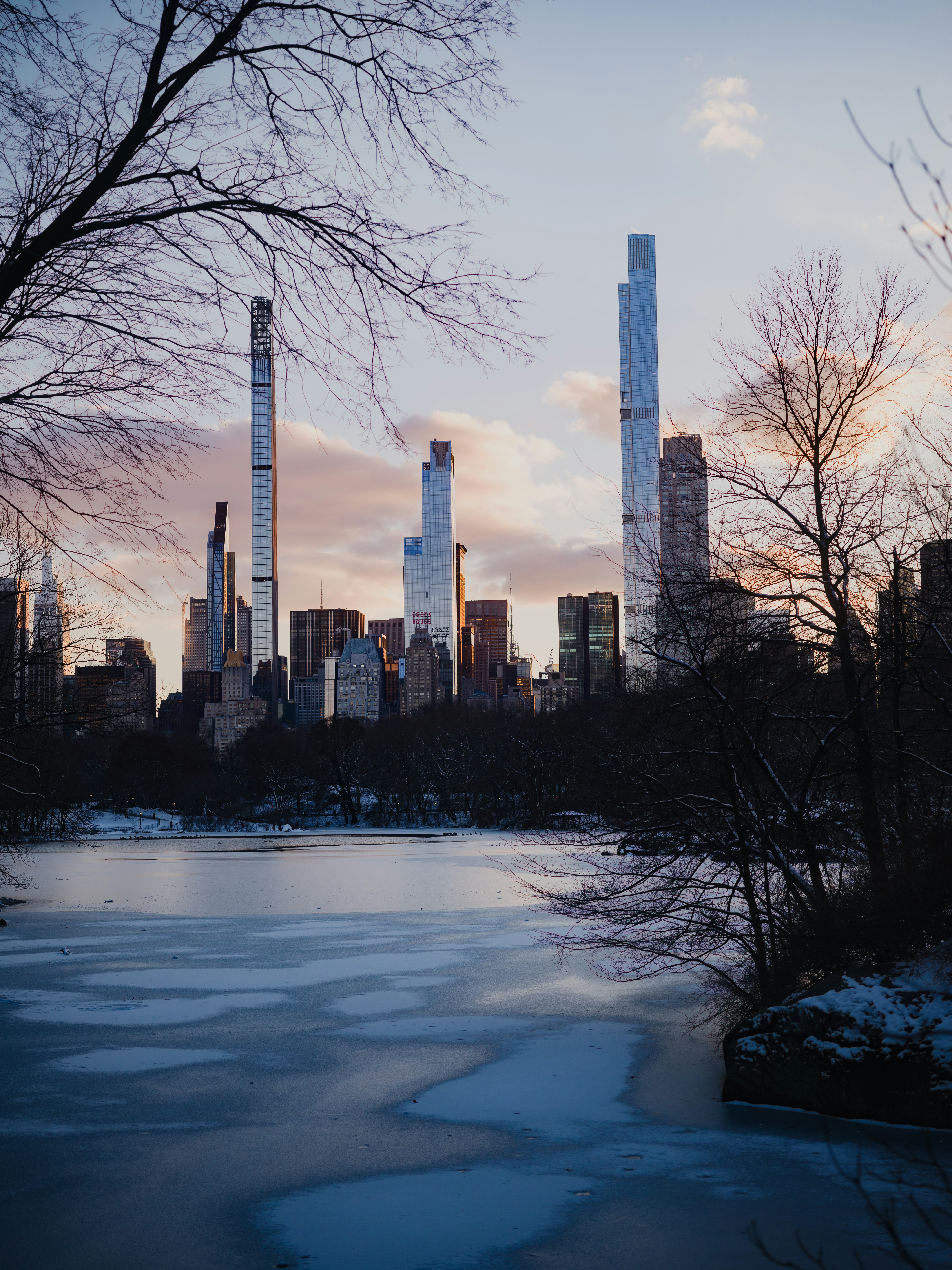 Photo by Yohan Marion with Hasselblad X1D II 50C