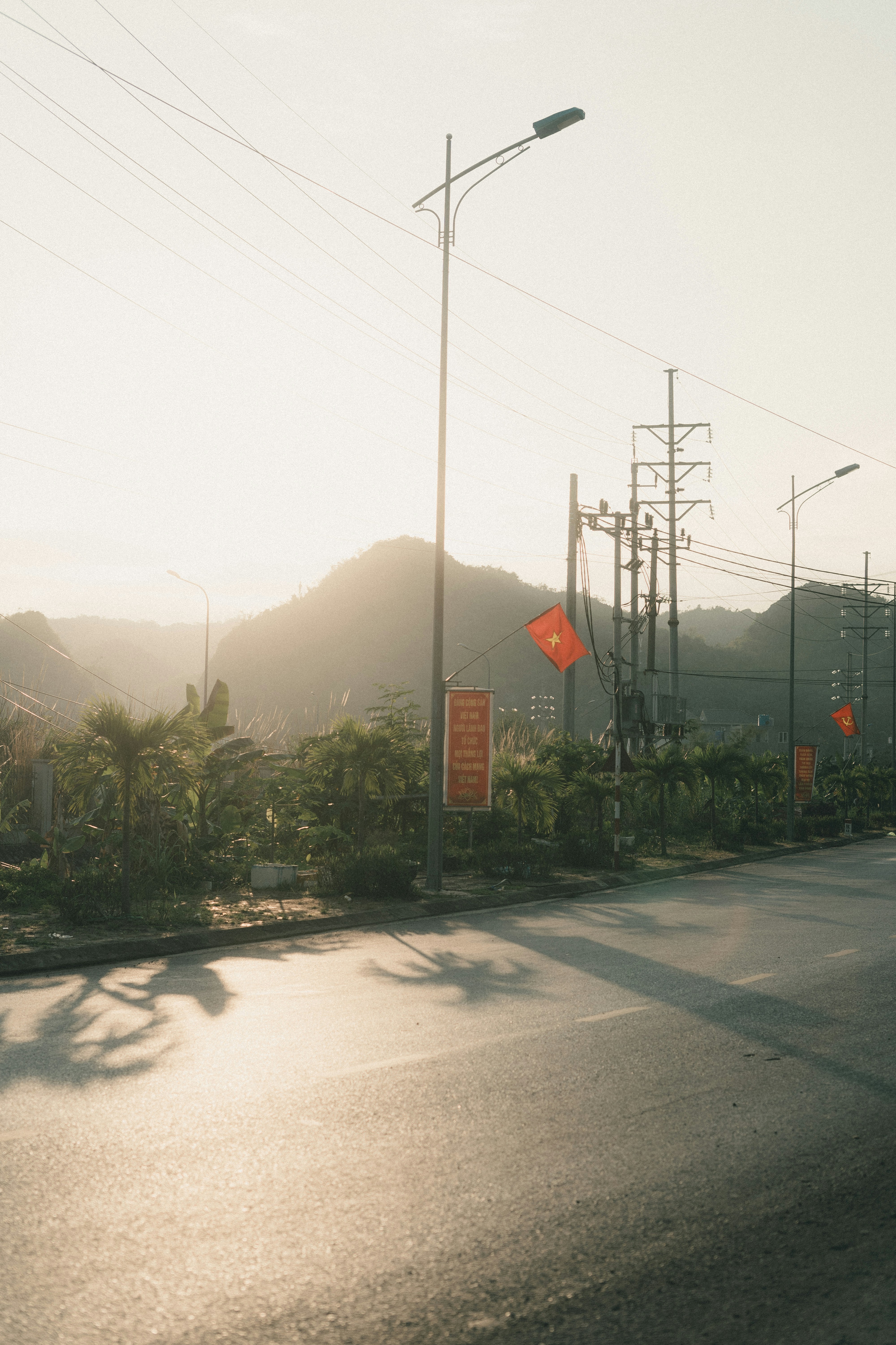 A tranquil street scene at dawn, featuring lush greenery and Vietnamese flags fluttering against a backdrop of distant mountains. The soft light creates a peaceful atmosphere.