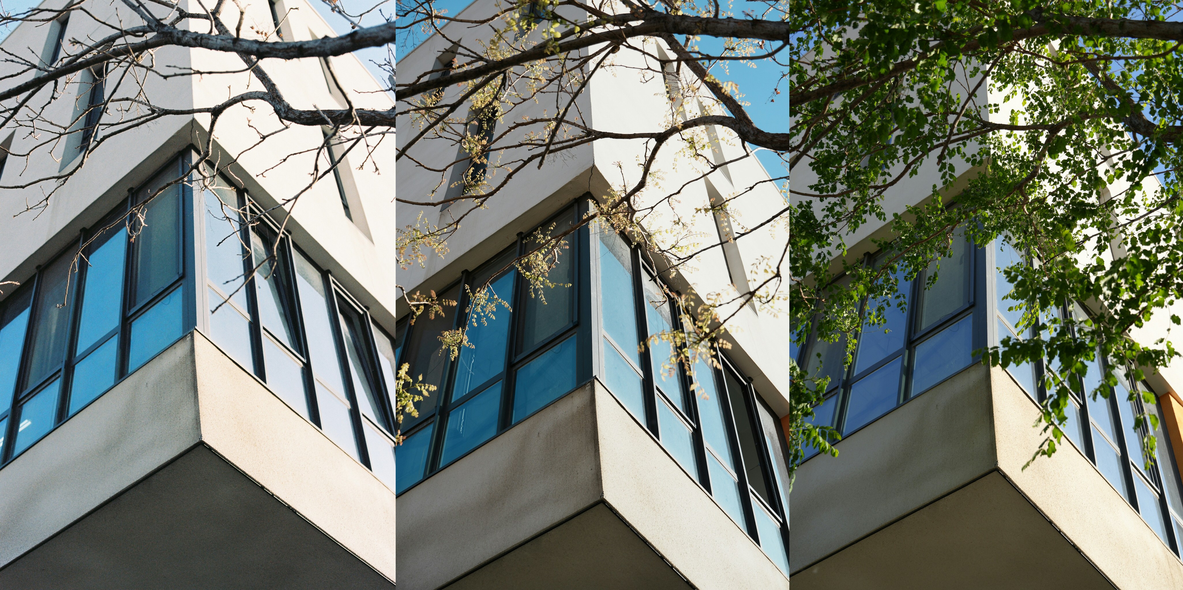 Building corner with trees and blue sky. photo – Free Image on Unsplash