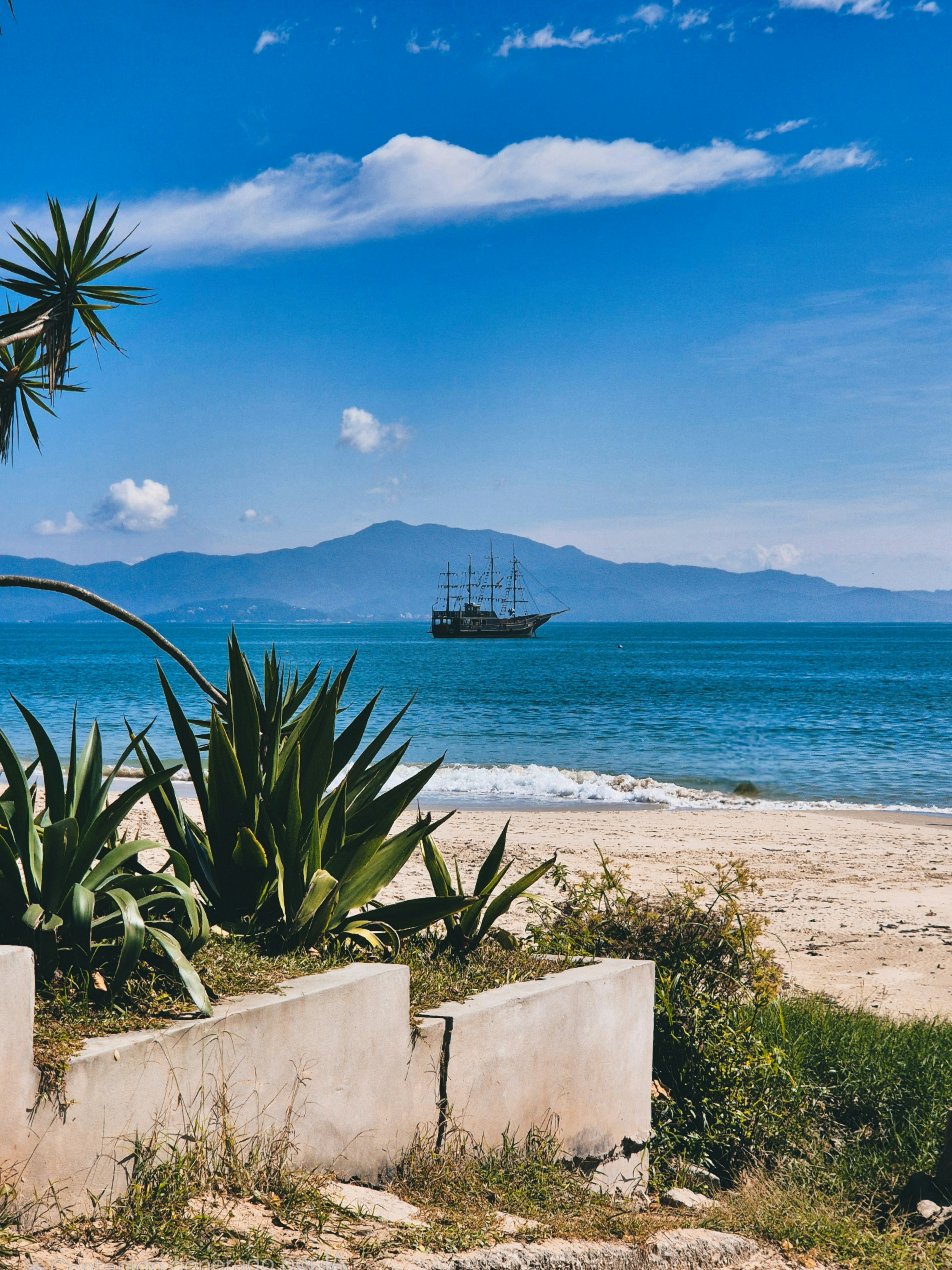 Photograph of a sandy beach with foreground succulents and a distant three-masted ship on calm blue water.