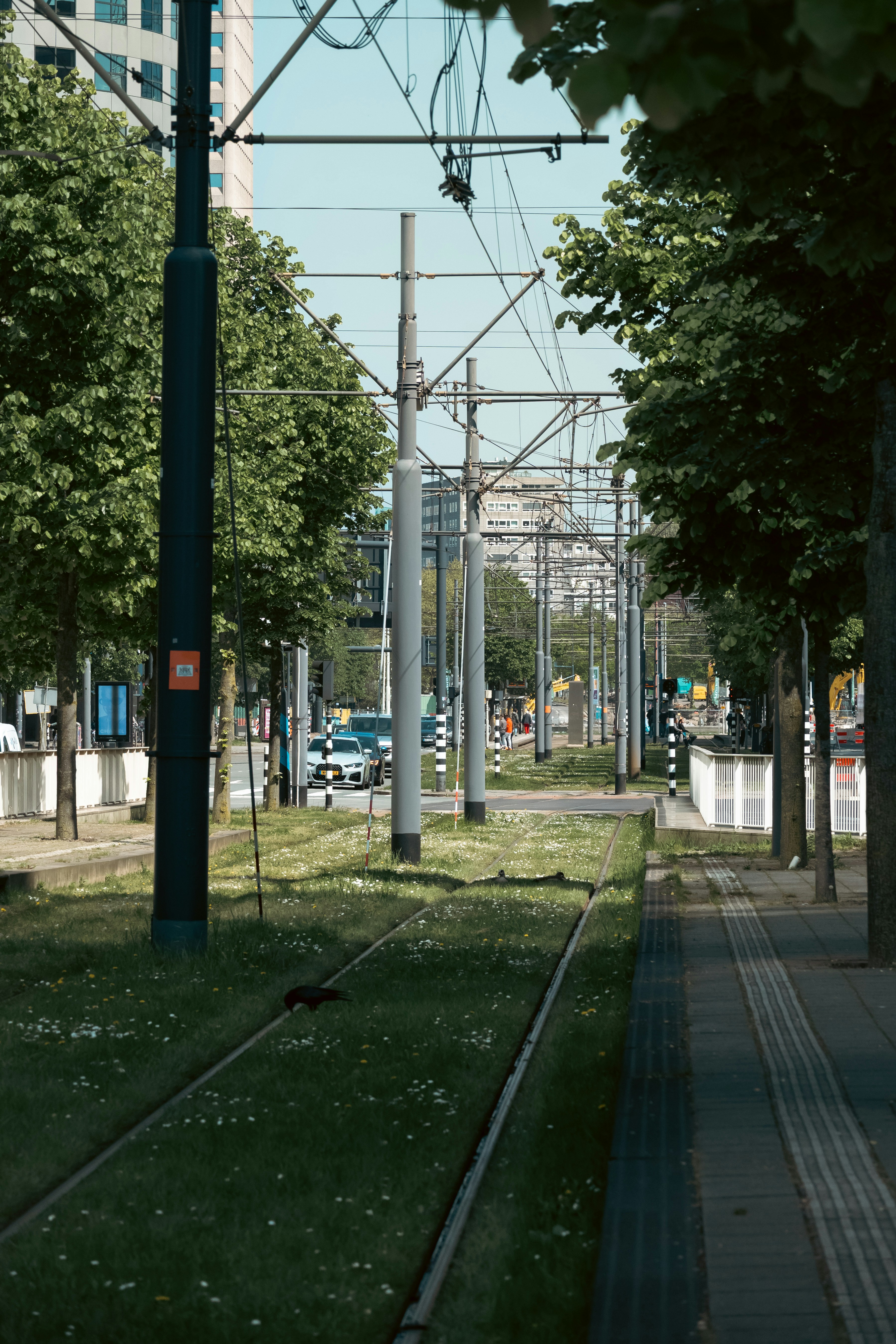 Rotterdam tram line