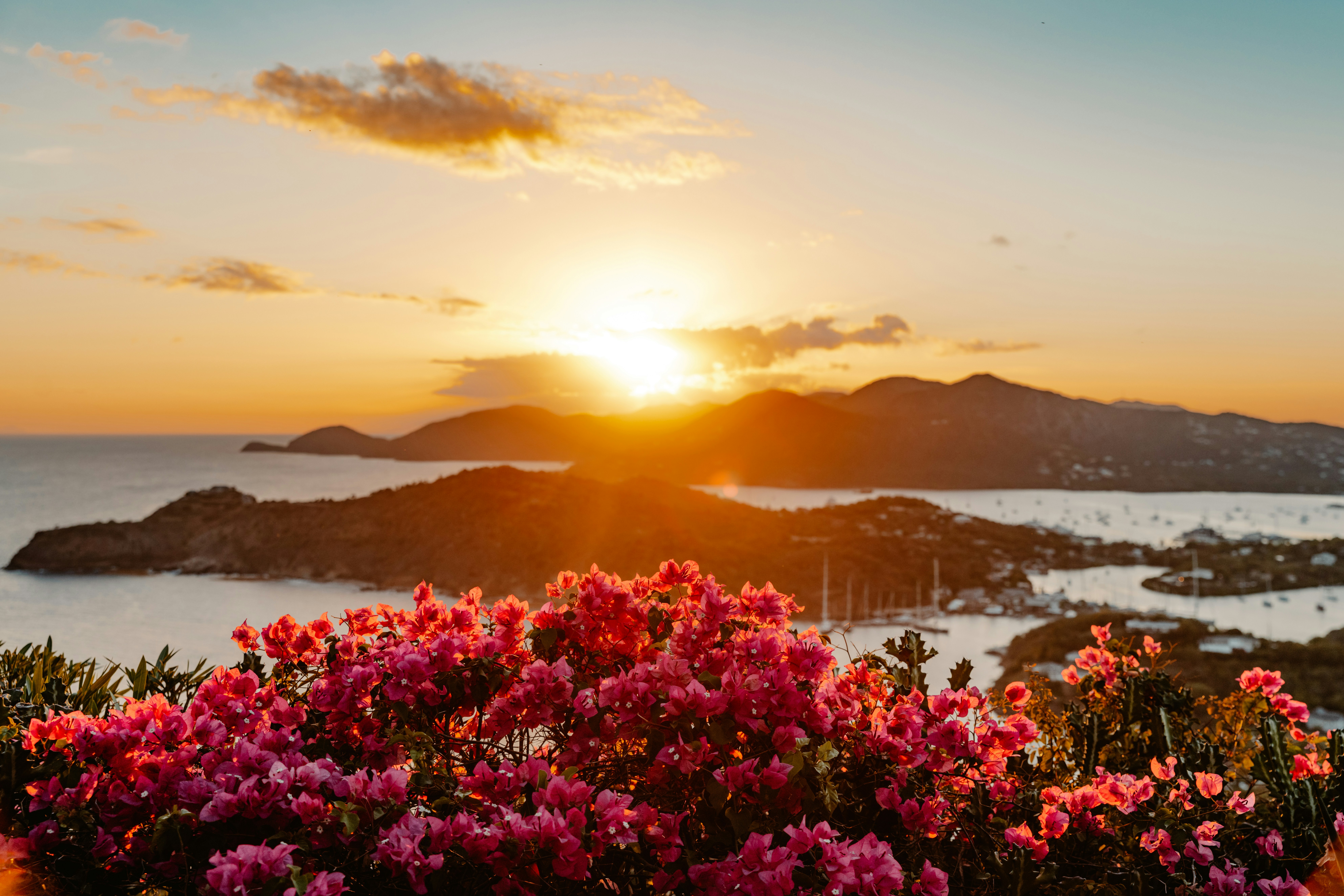Stunning sunset over an island with flowers. photo – Free Flowers Image ...