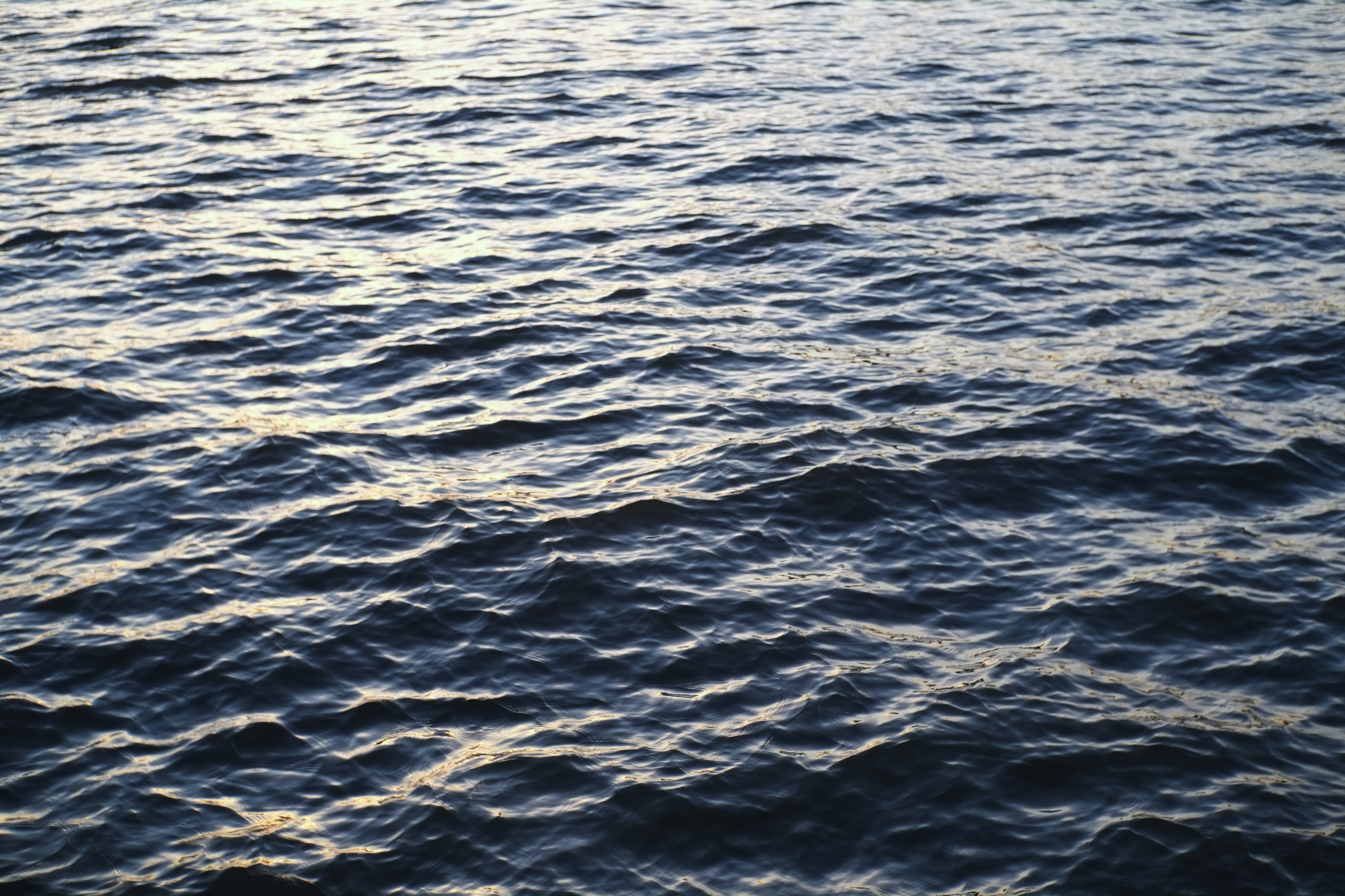 The image shows the shimmering surface of water. photo – Free Dark ...