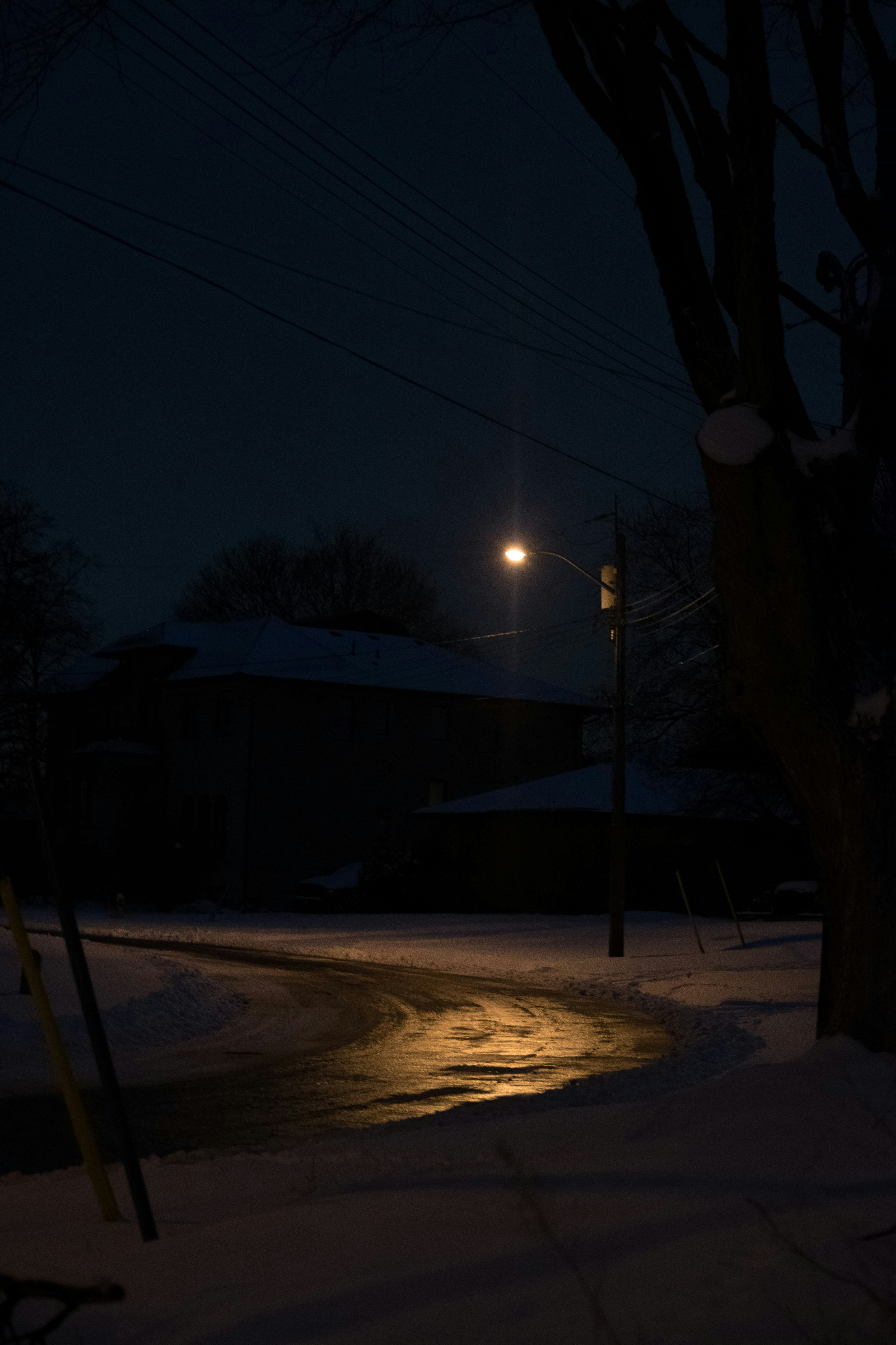 Silent Glow of Winter's Embrace