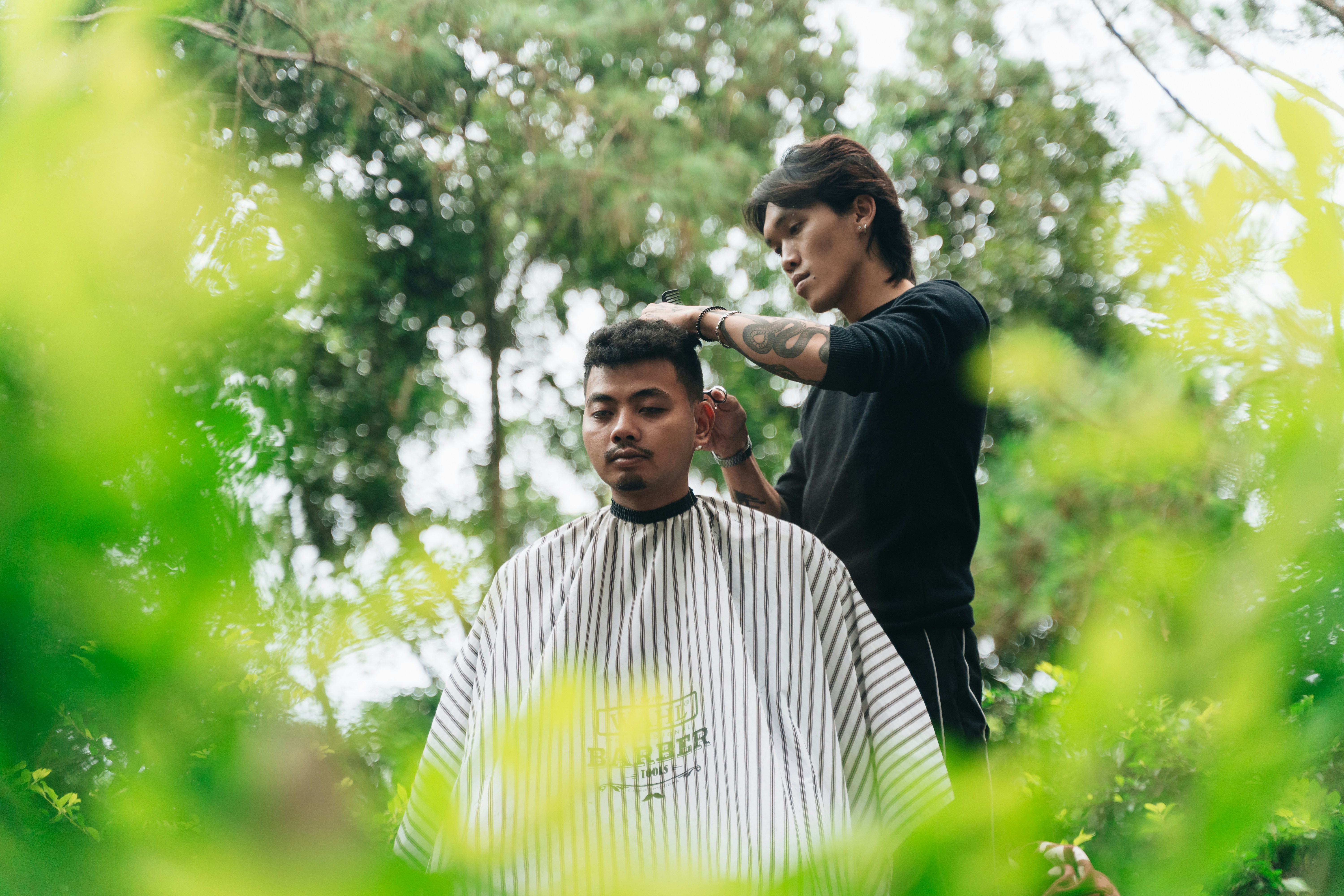 Green Canopy Cut: An Outdoor Grooming Moment