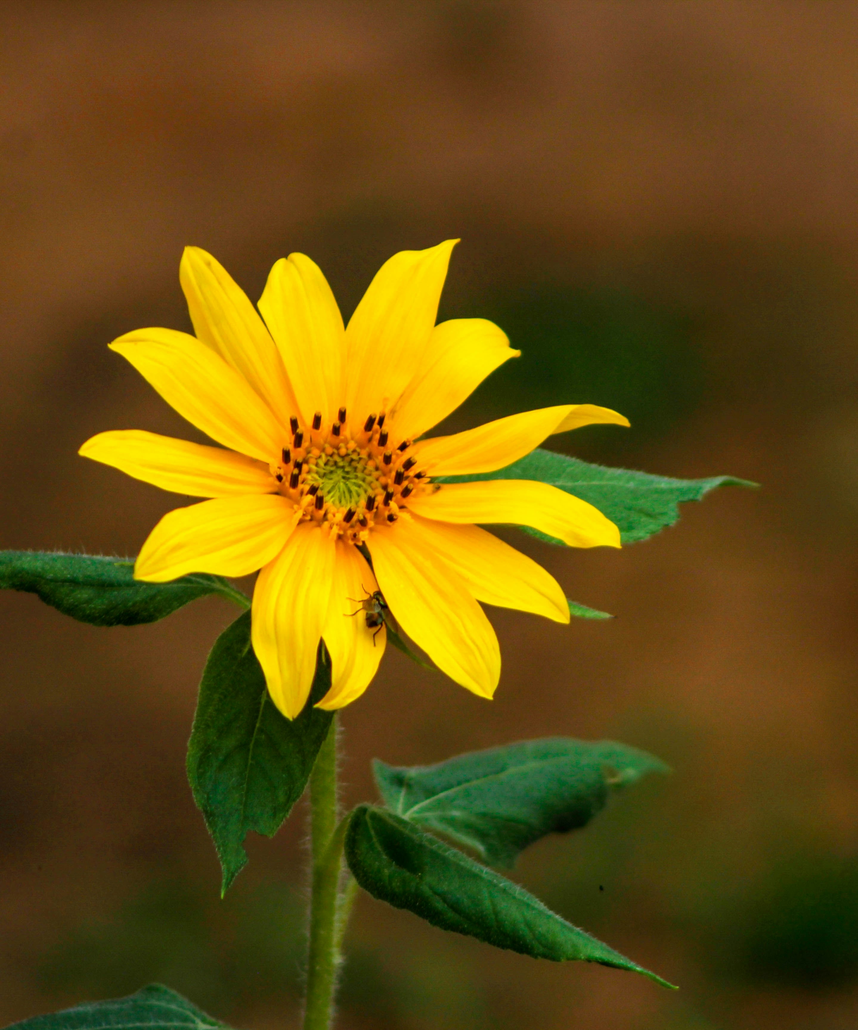 Photo by Eric de oliveira with Canon EOS 1200D