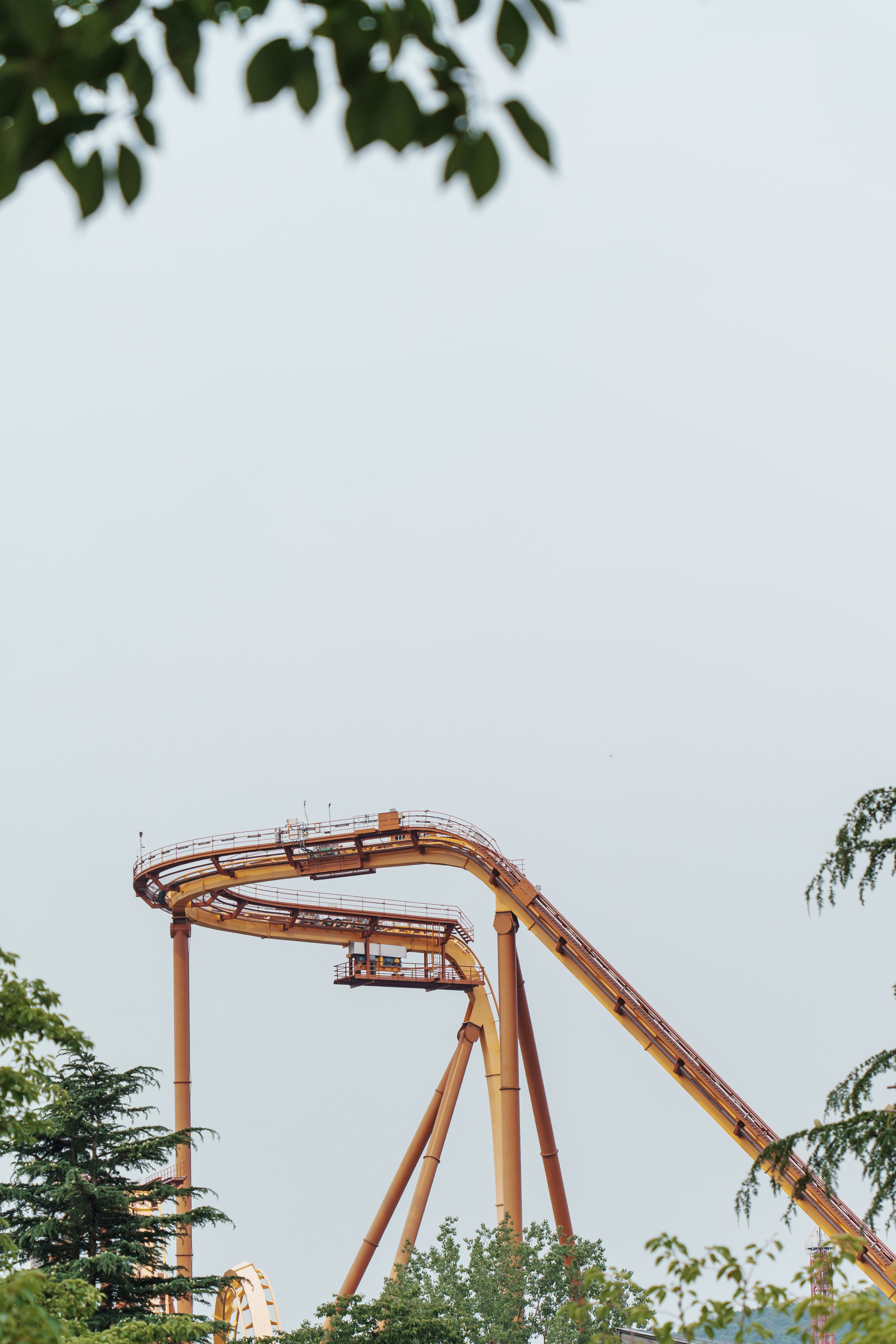 Twisted Heights: The Roller Coaster's Ascent