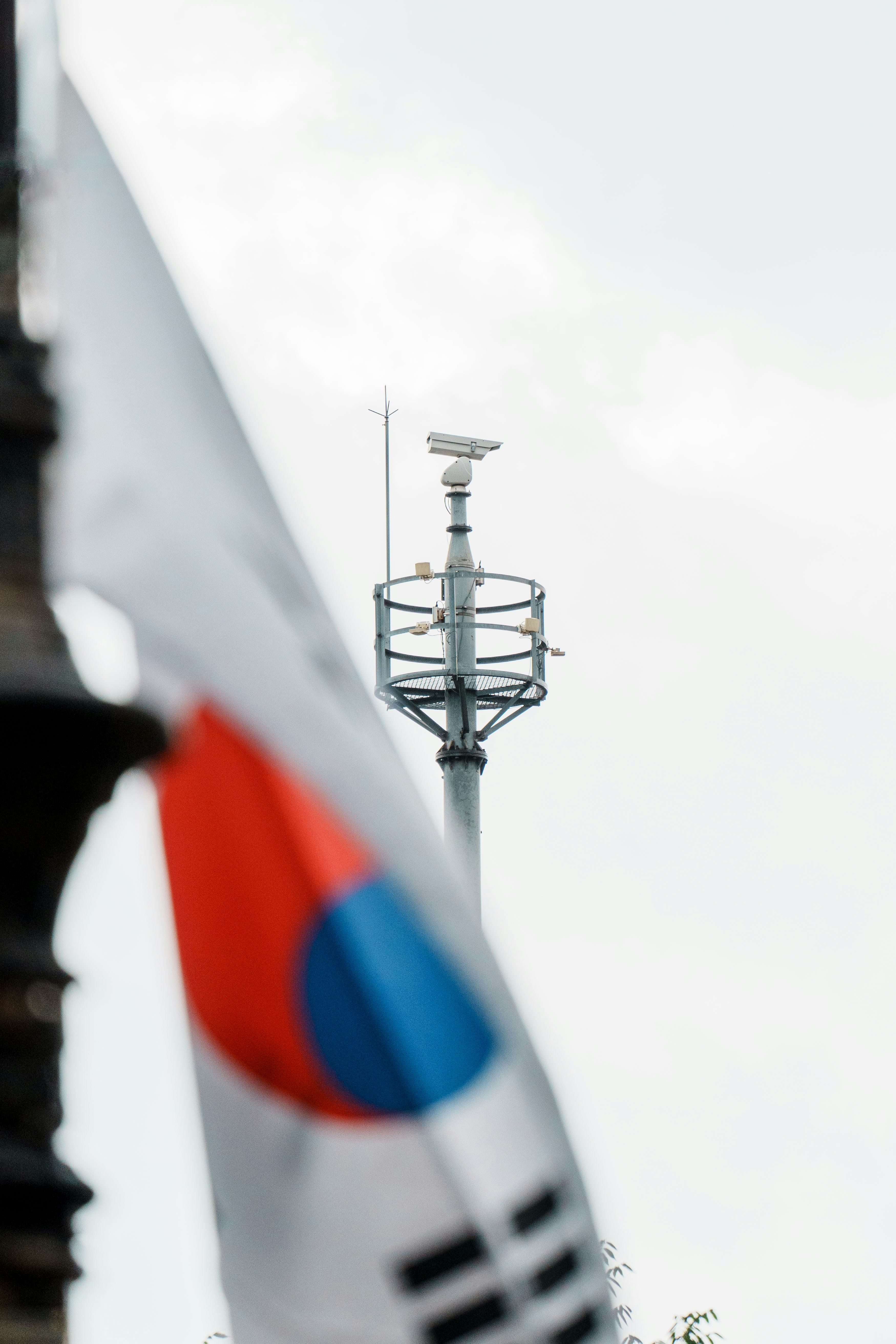 Vertical Sentinel Behind a Blurred Taeguk Flag