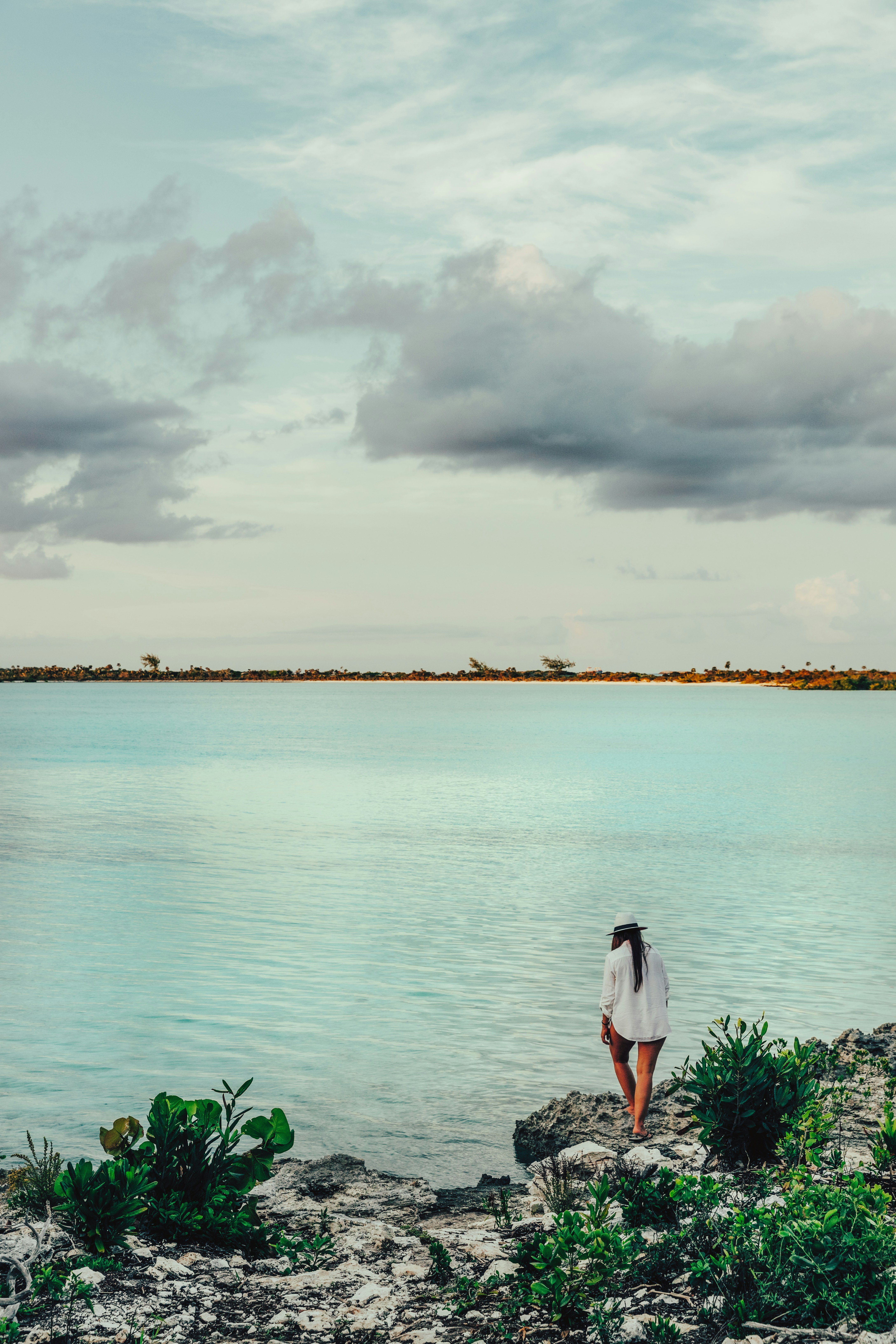 Solitary Wanderer at the Shoreline