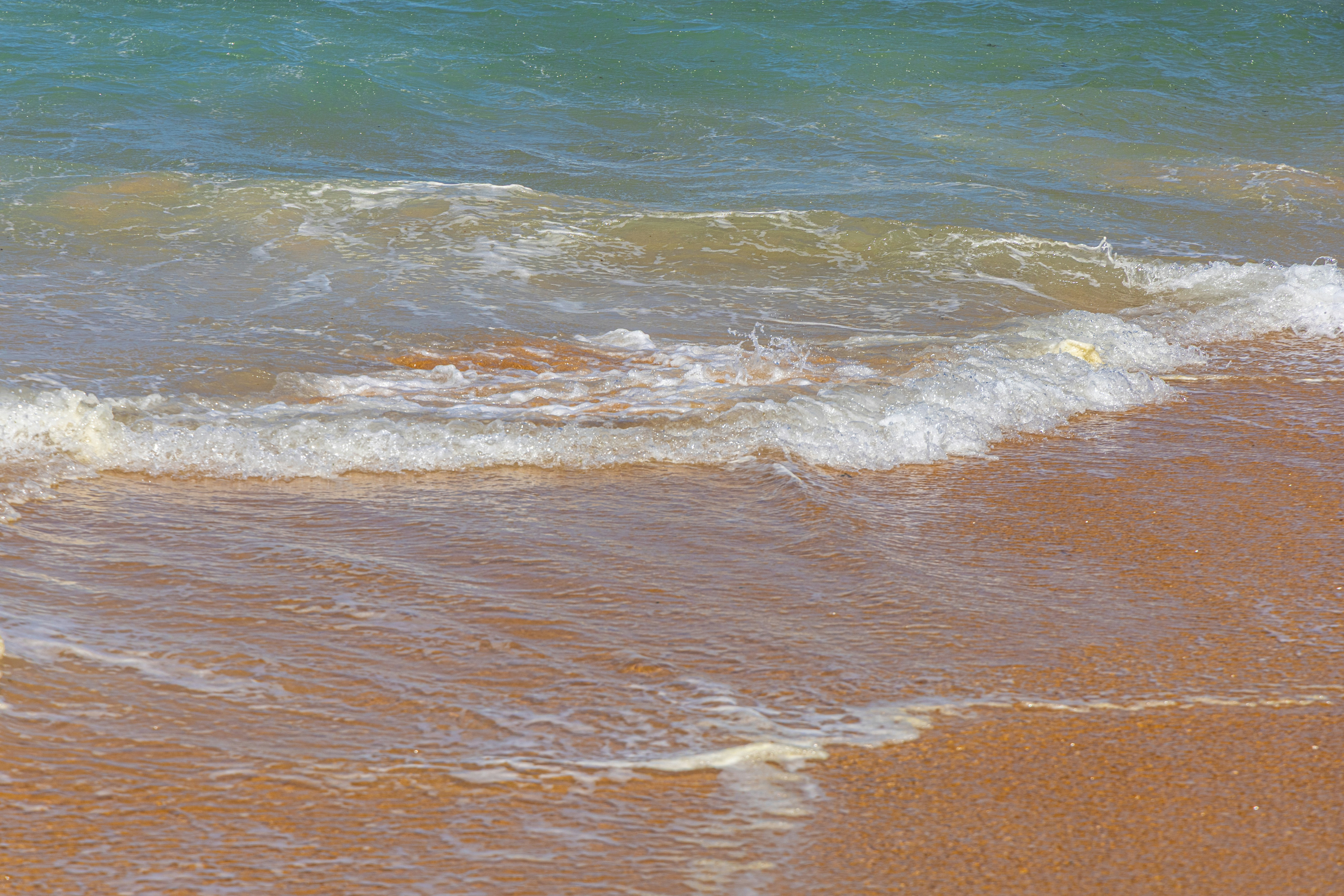 Where Tide Lines Write on Copper Sand: A Quiet Beach Study