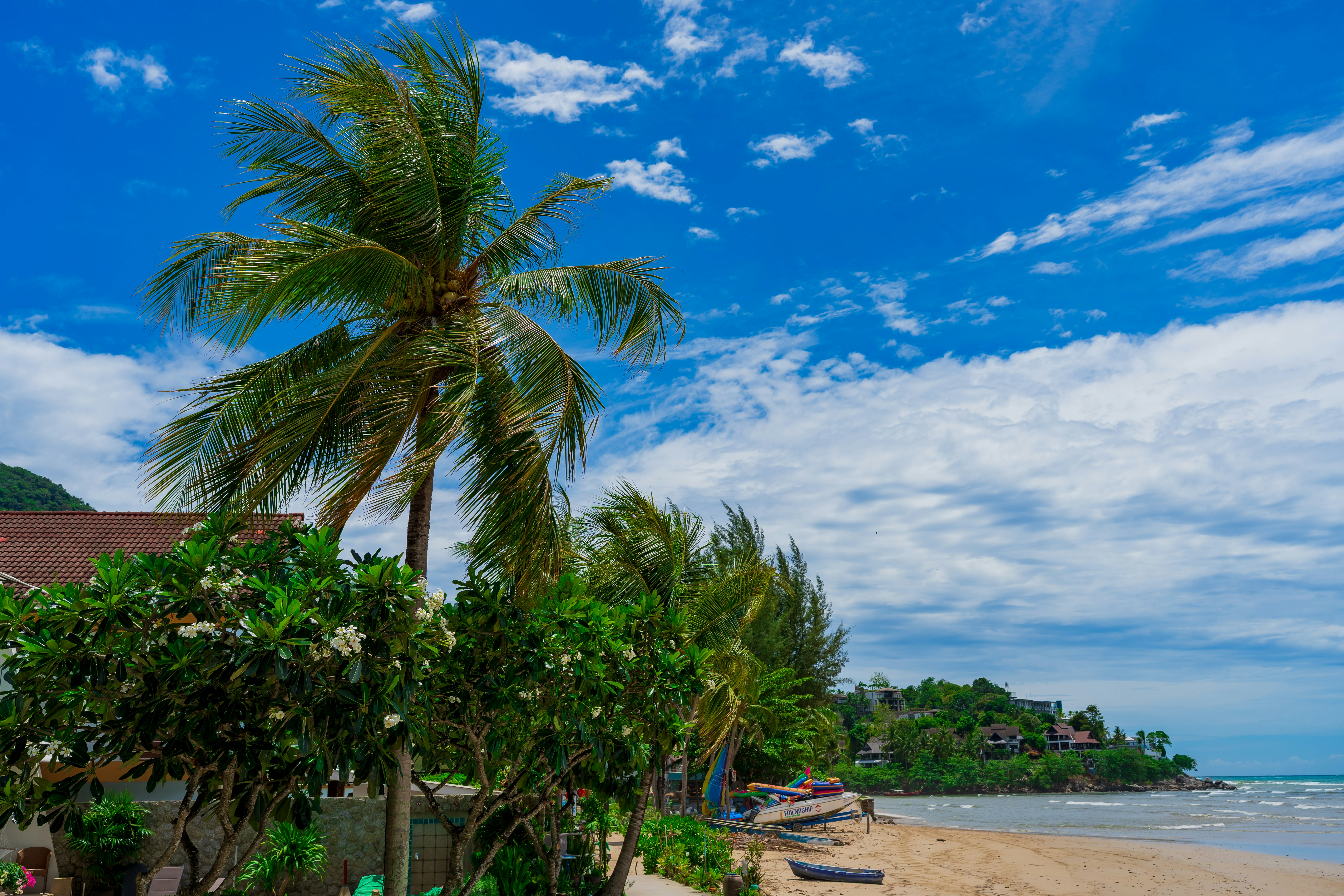A beautiful beach scene with palm trees. photo – Free Full hd wallpaper ...