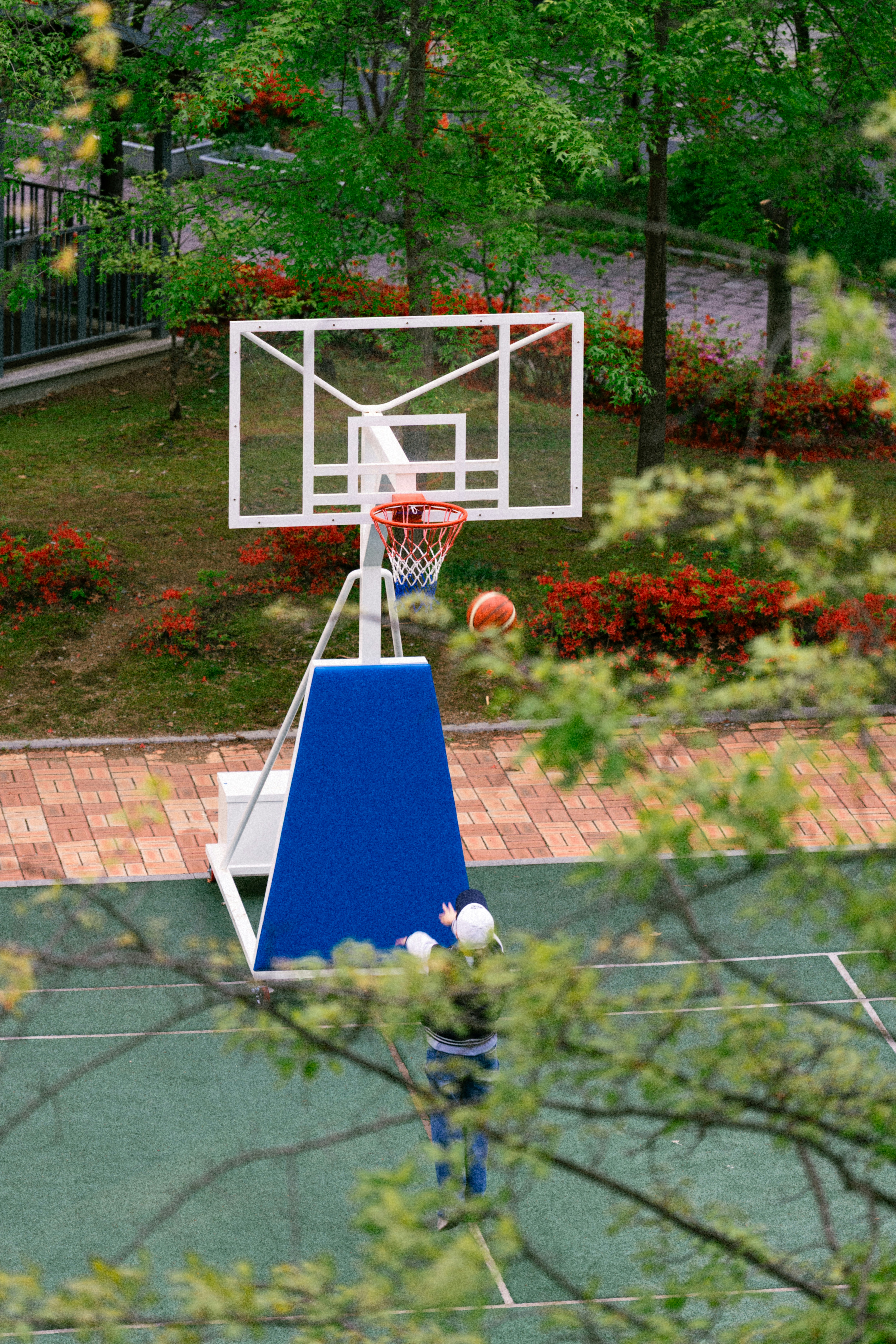 Aiming for the Hoop: The Art of Basketball