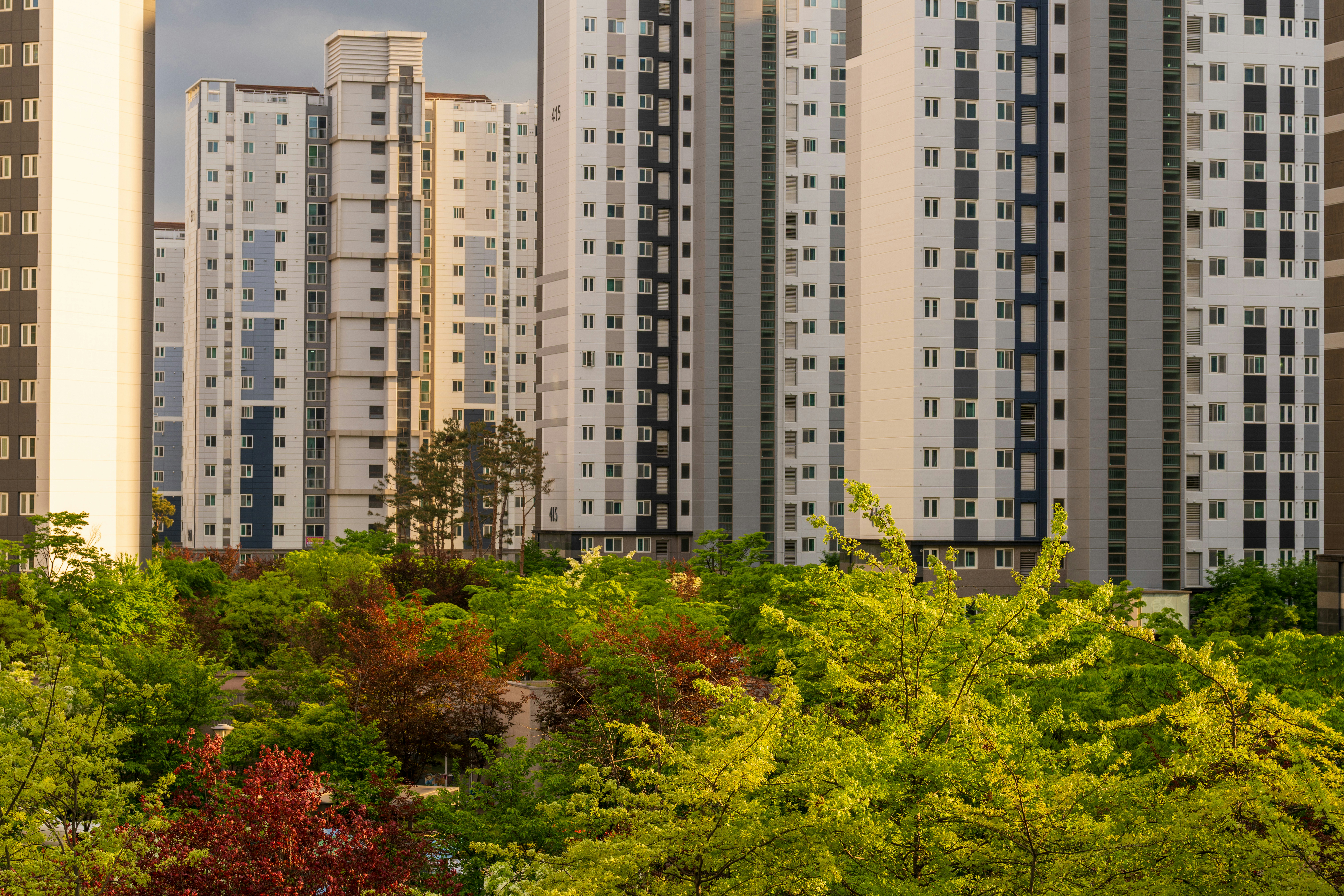 Apartment buildings stand tall above green trees. photo – Free Image on ...