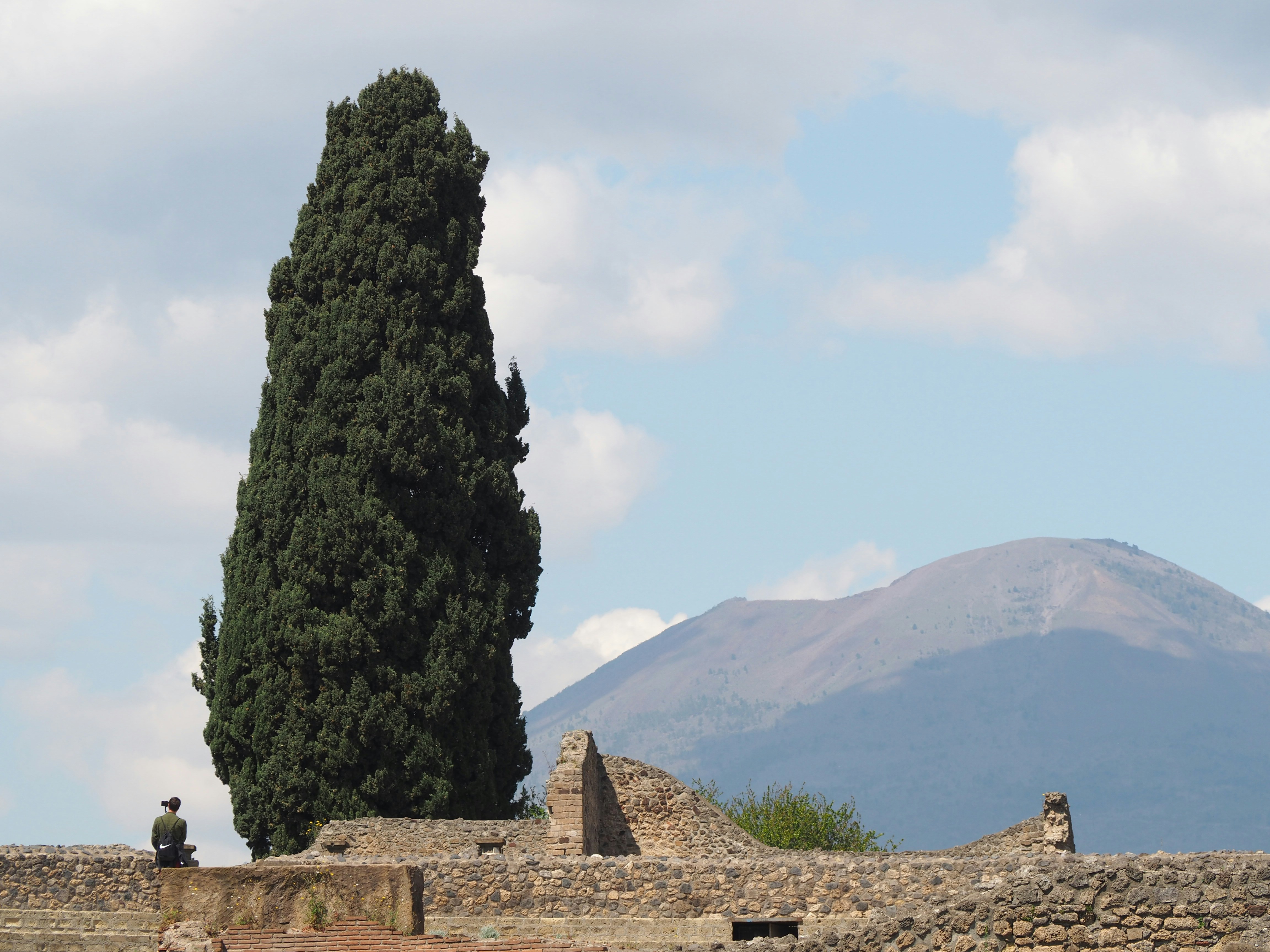 Cypress Sentinel Over Ancient Walls Beneath a Mountain Sky